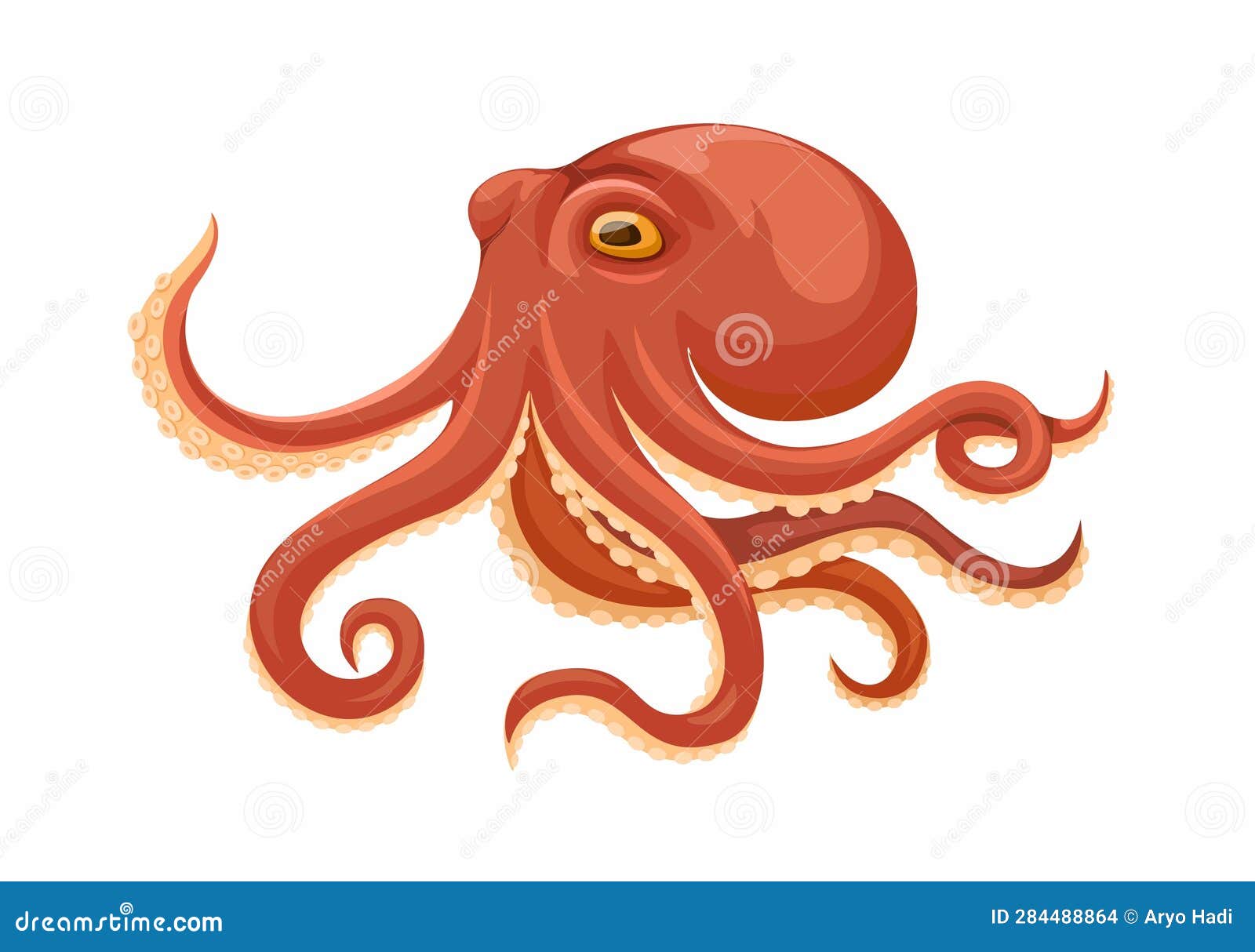 Octopus Aquatic Animal Cartoon Illustration Vector Stock Vector ...