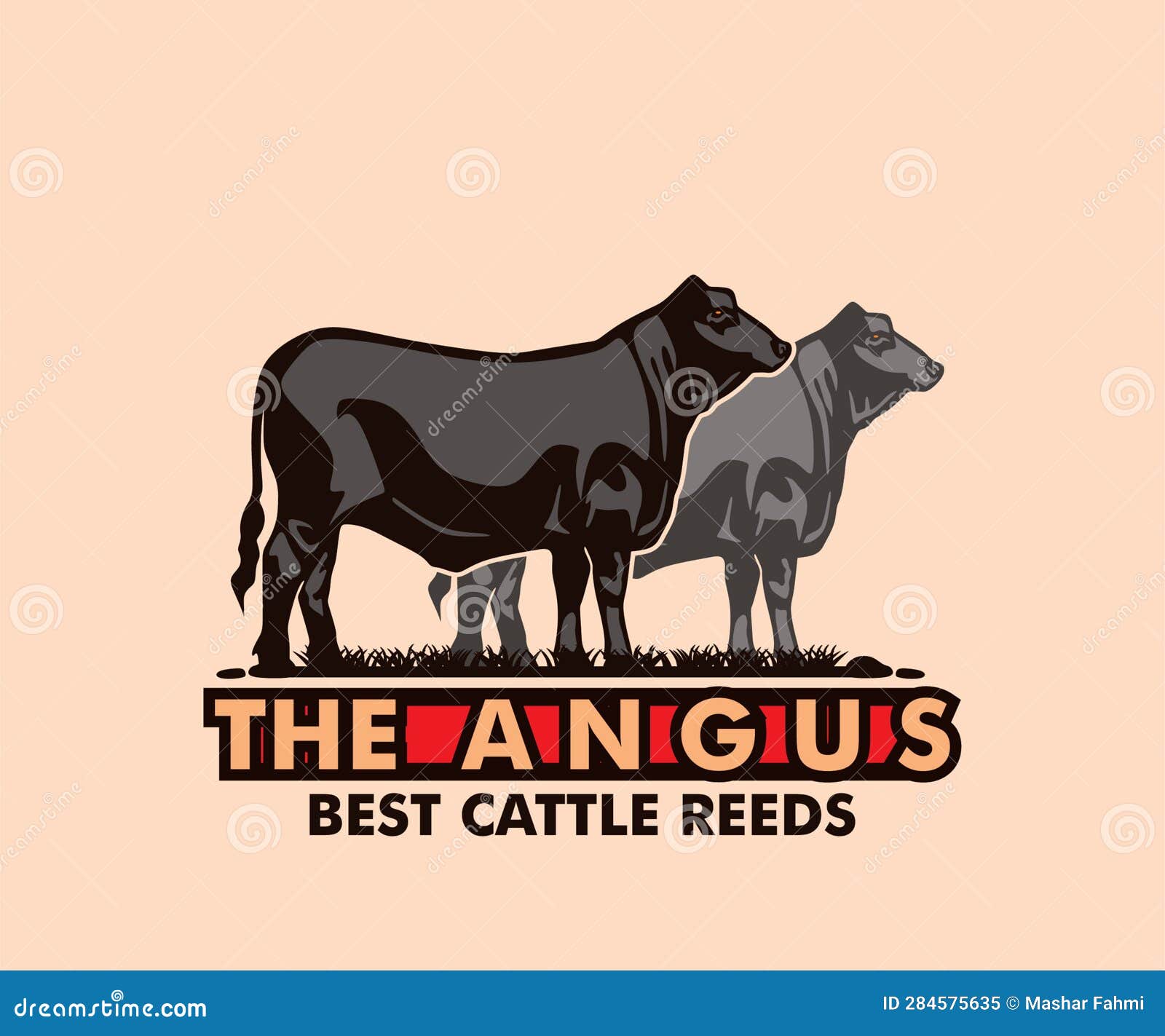 GREAT ANGUS BULL FARM LOGO stock vector. Illustration of ranch - 284575635