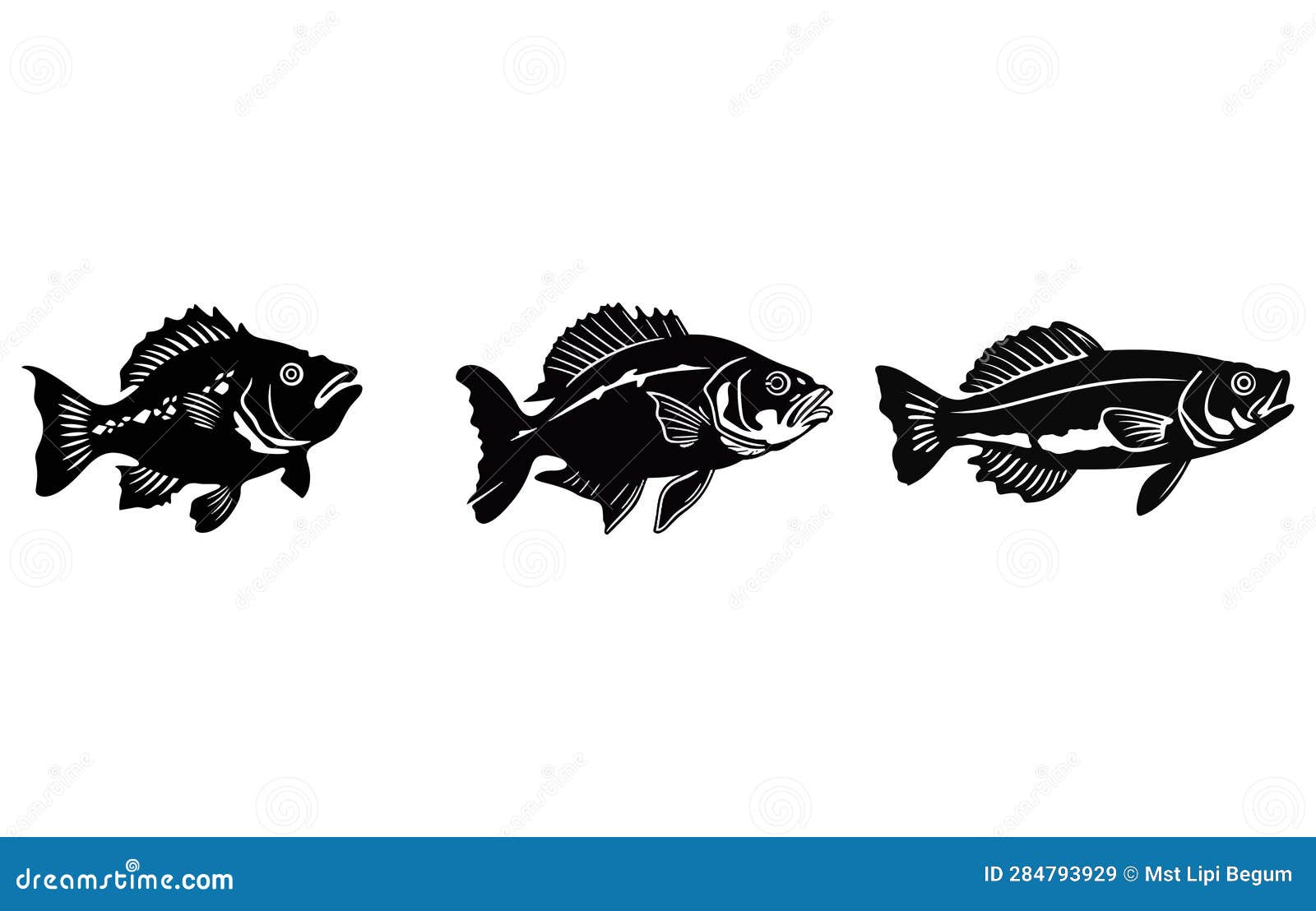 Perch Illustration of Freshwater,Perch Fish Icon Illustration,Perch ...