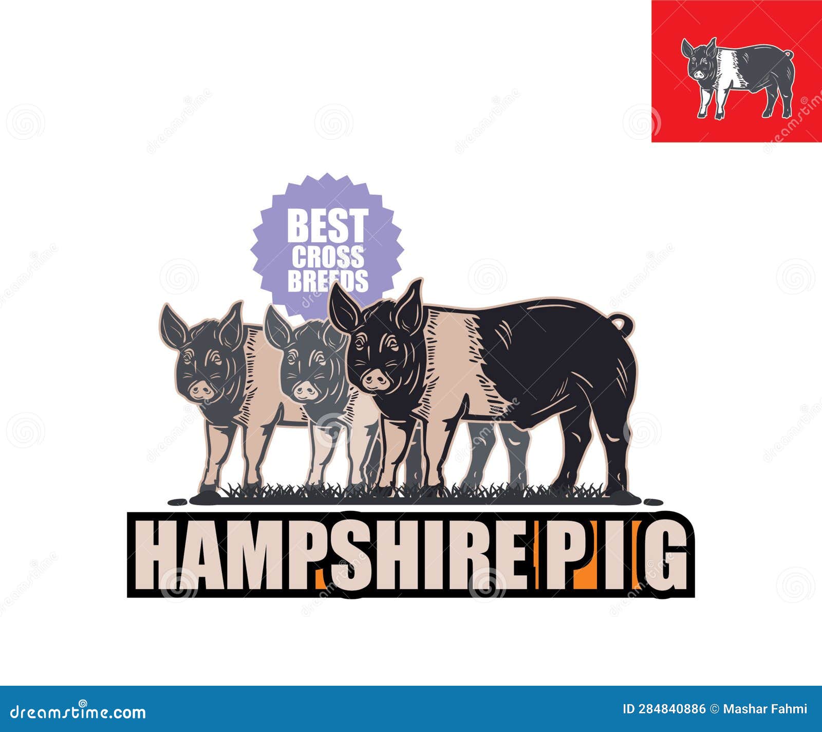HAMPSHIRE CROSS PIG FARMING Stock Vector - Illustration of farm, symbol ...