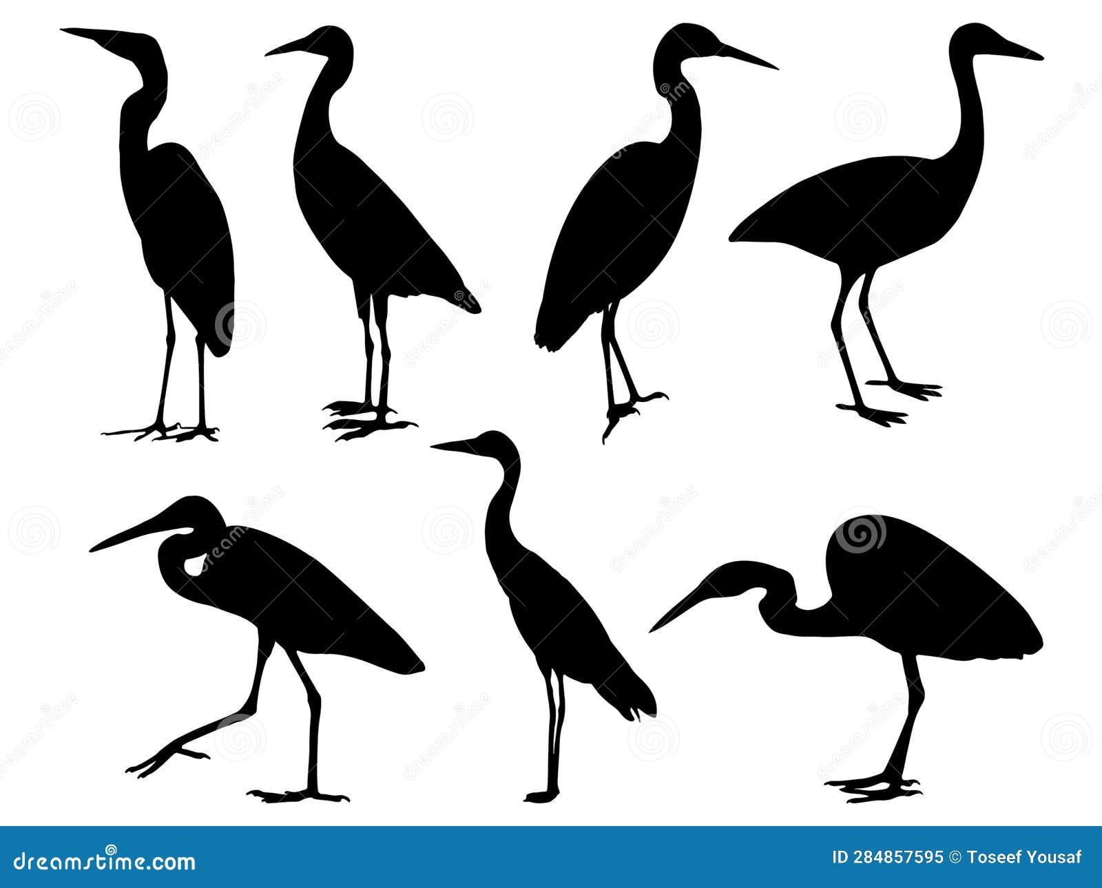 Set of Egret Bird Silhouette Vector Art on a White Background Stock ...