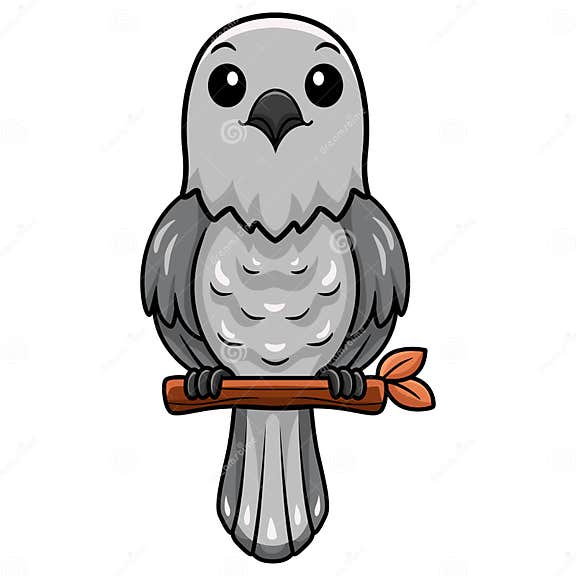 Cute Northern Mockingbird Cartoon on Tree Branch Stock Vector ...