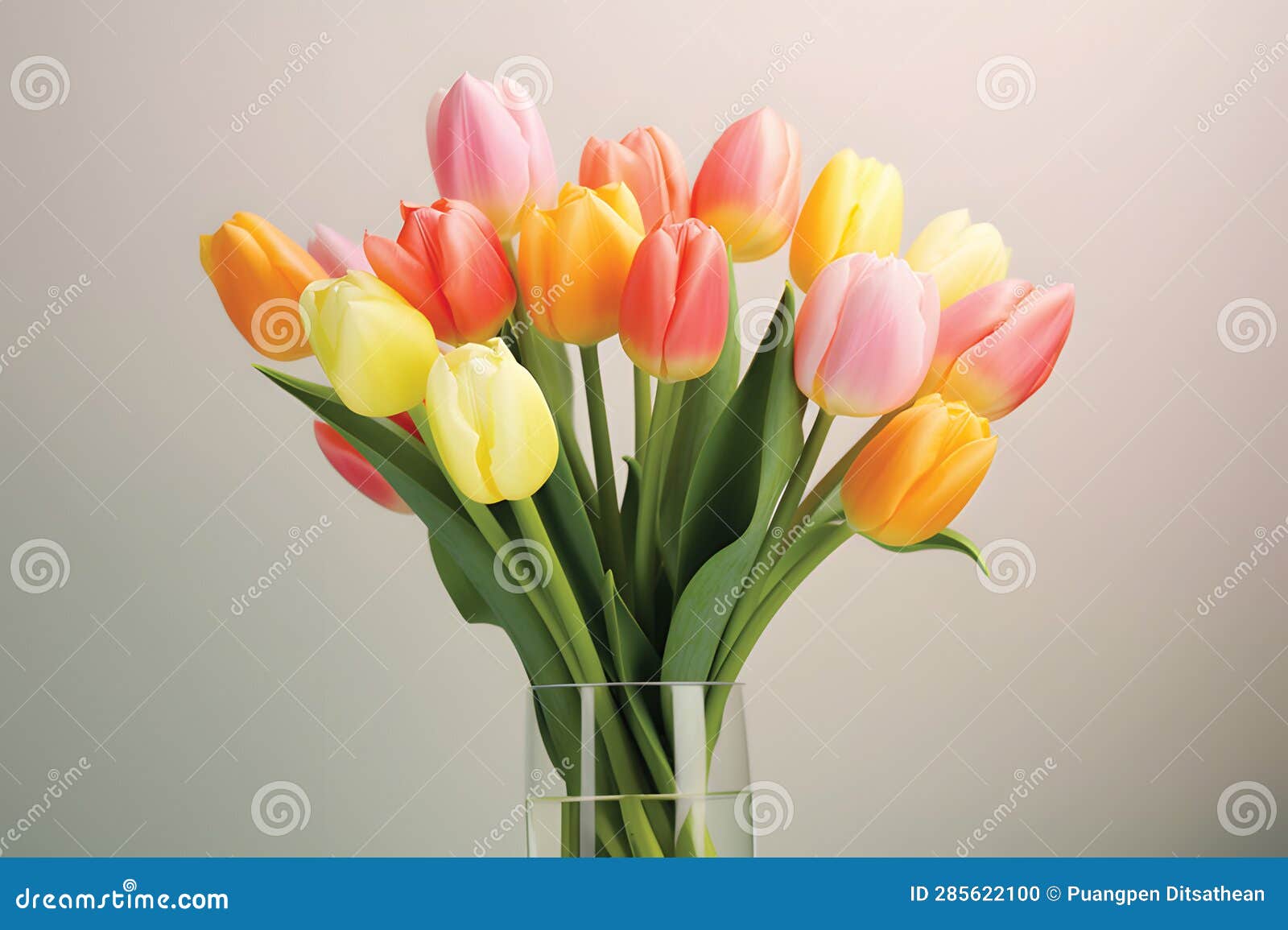 Natural Bouquet of Spring Tulips. Pastel Tulips on a Plain Background ...