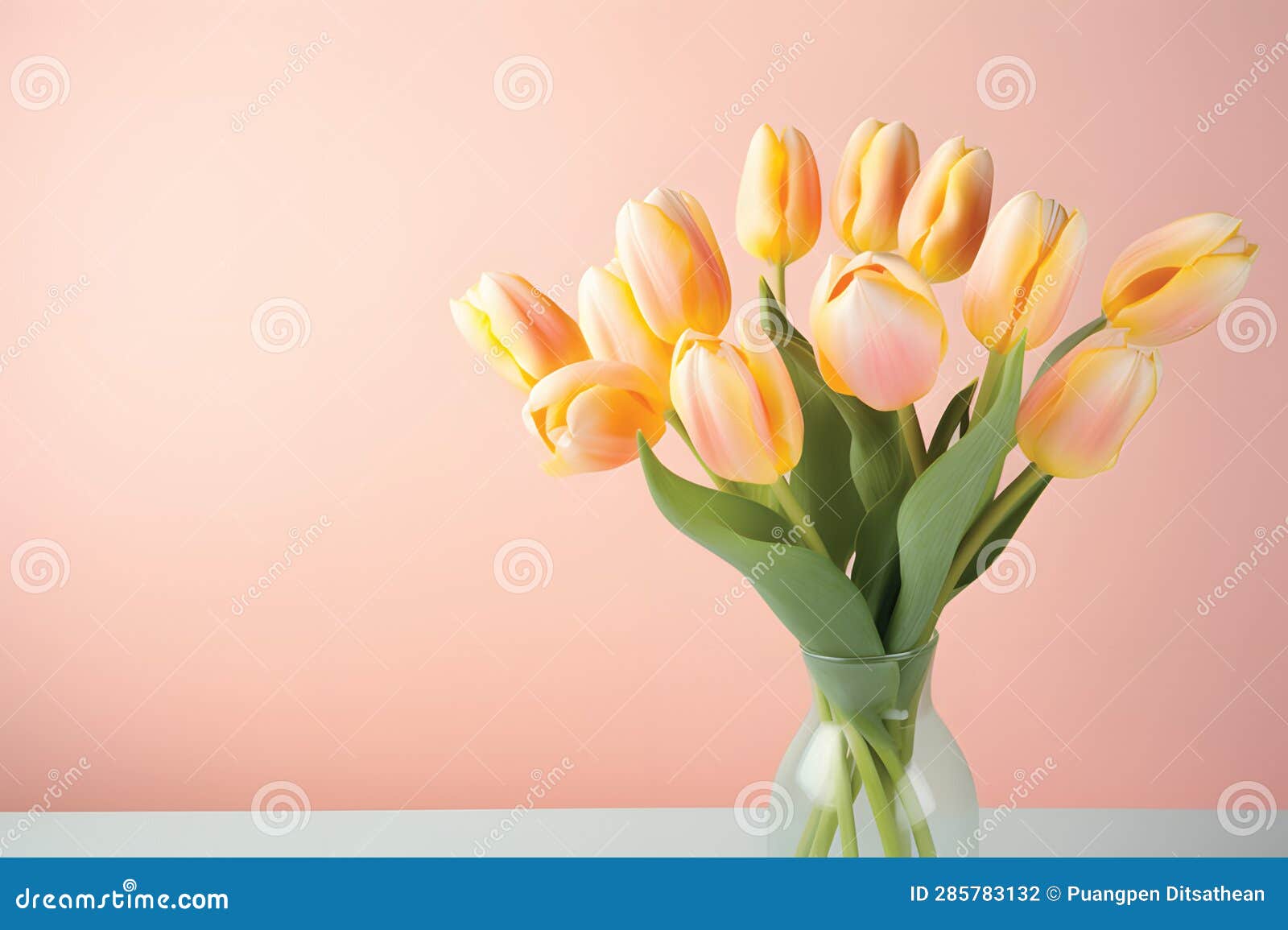 Natural Bouquet of Spring Tulips. Pastel Tulips on a Plain Background ...