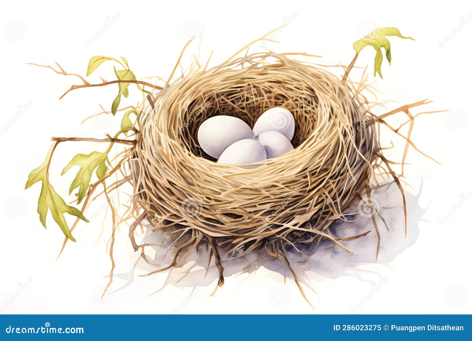 Watercolor Sketch of Bird S Nest,texture of Paper.GenerativeAI. Stock ...