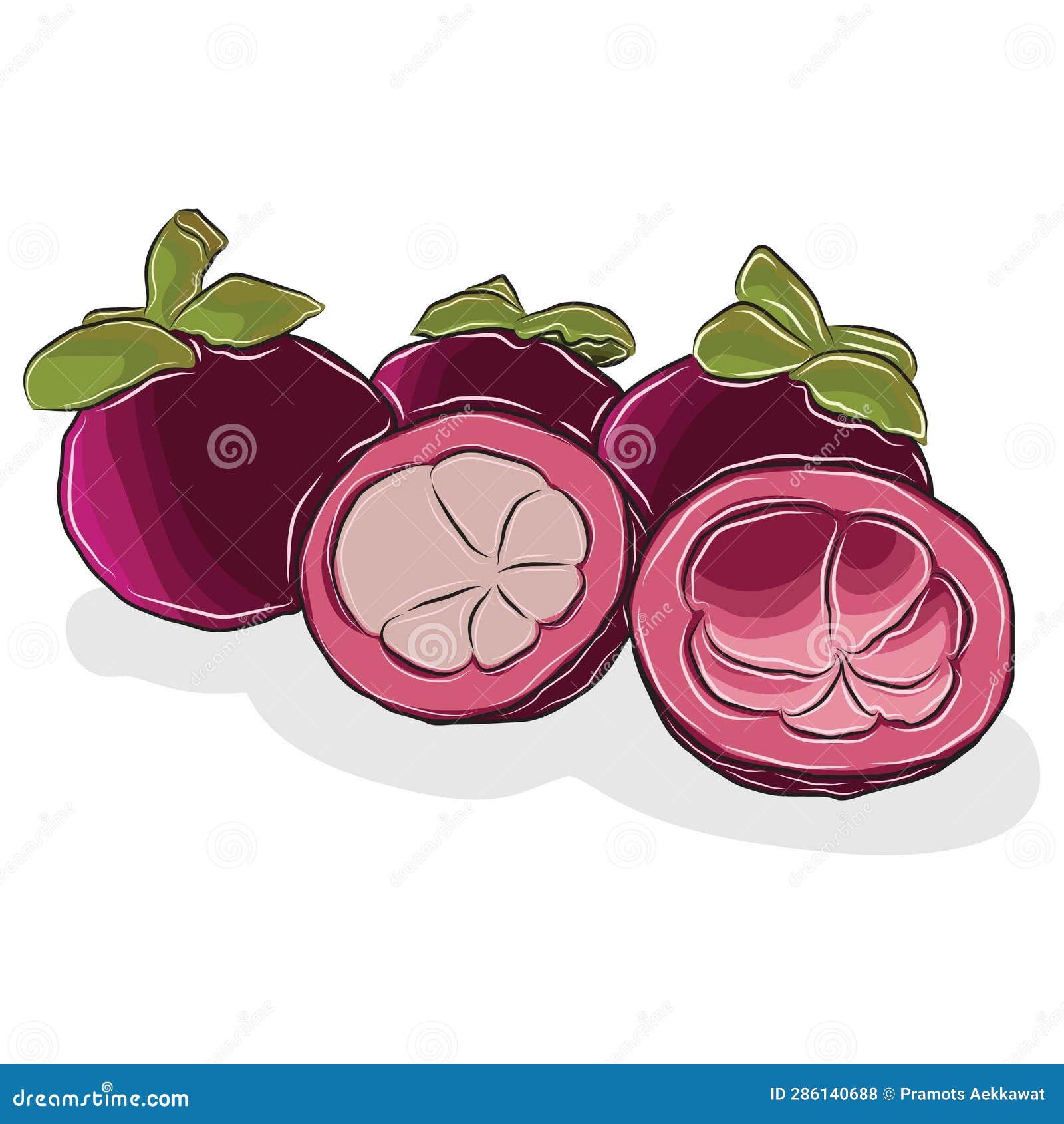 Vector Illustration or Illustrator Mangosteen Fruit. Stock Illustration ...