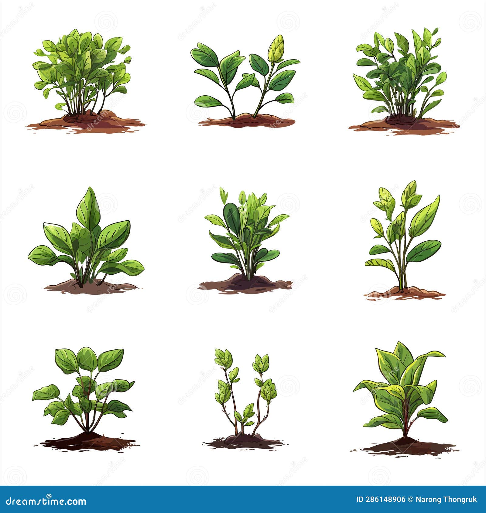 Seedling Icon Isolated on White Background. Vector Illustrations Stock ...