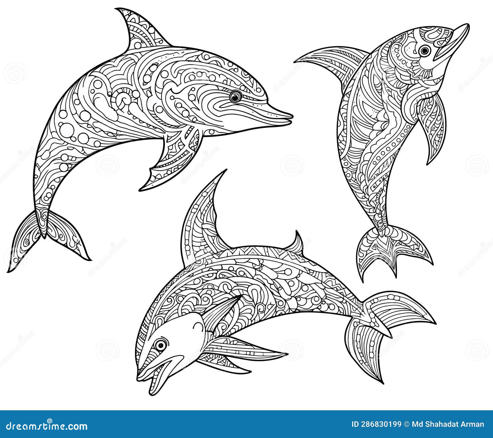 Dolphin Outline Set, Dolphin Coloring Design Stock Vector ...