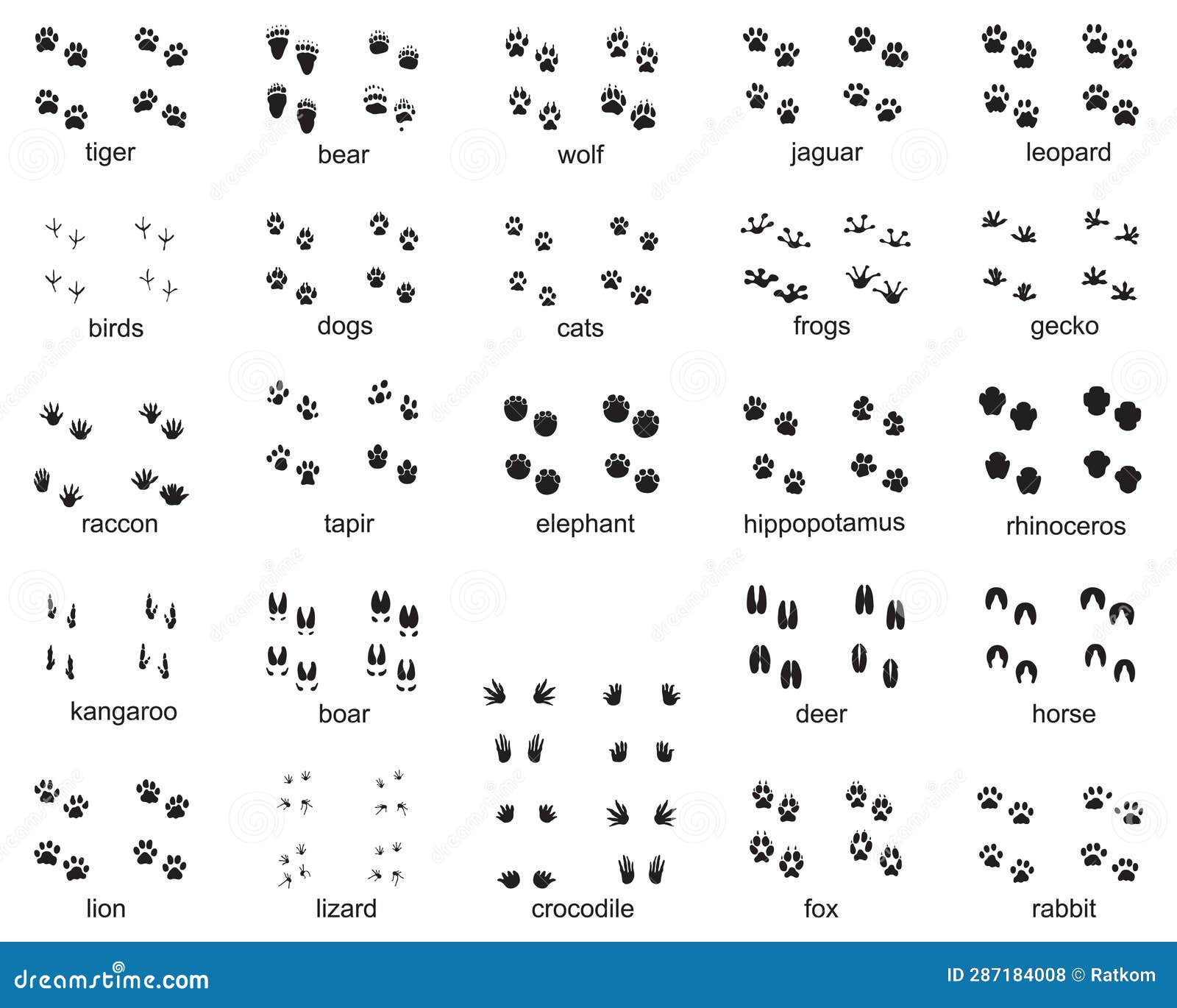 Set of Footprints of Wild Animals Stock Illustration - Illustration of ...