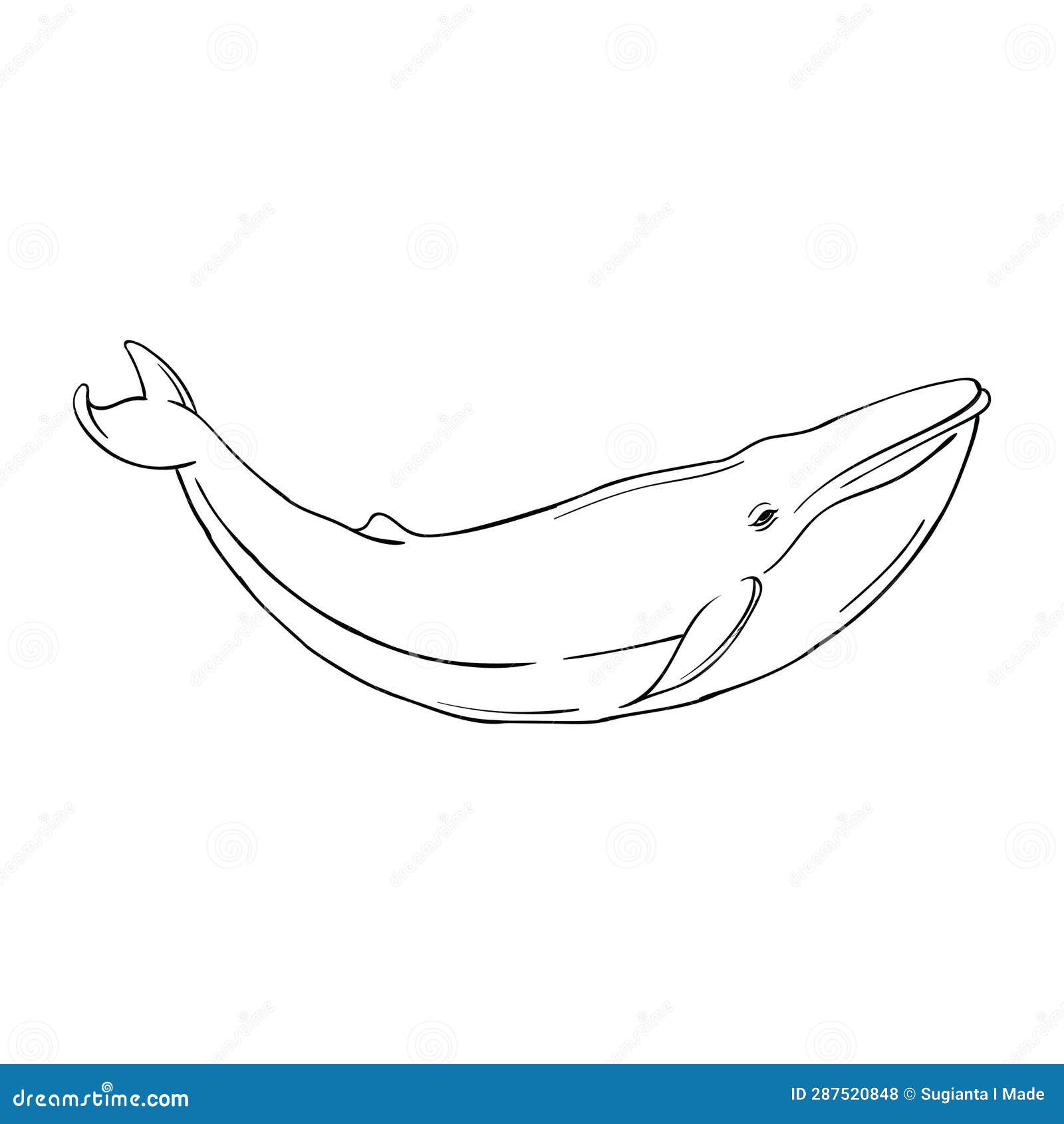 Hand Drawing Style Whale Line Art Icon Vector Stock Vector ...