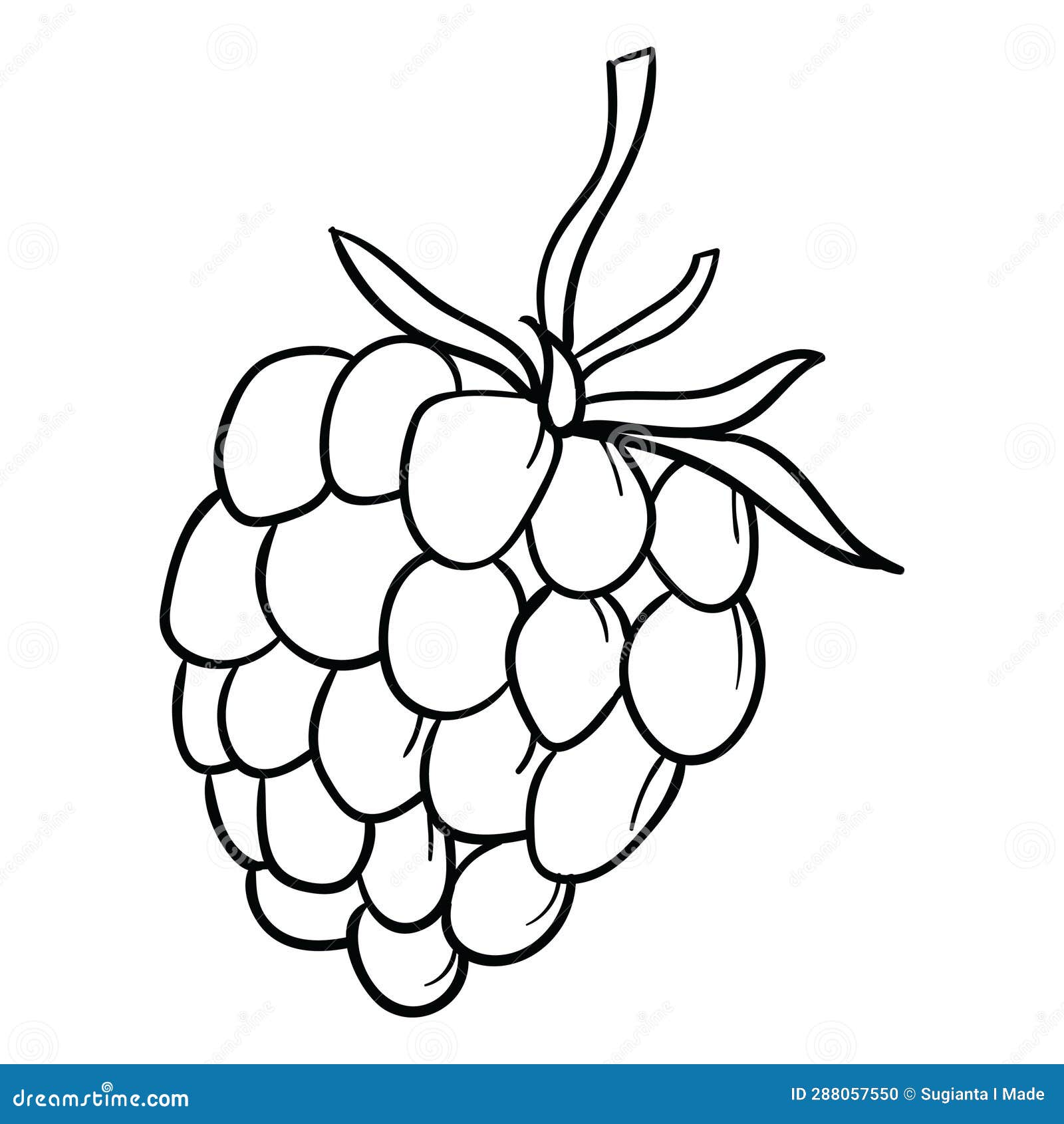 Hand drawing berry vector stock vector. Illustration of color - 288057550