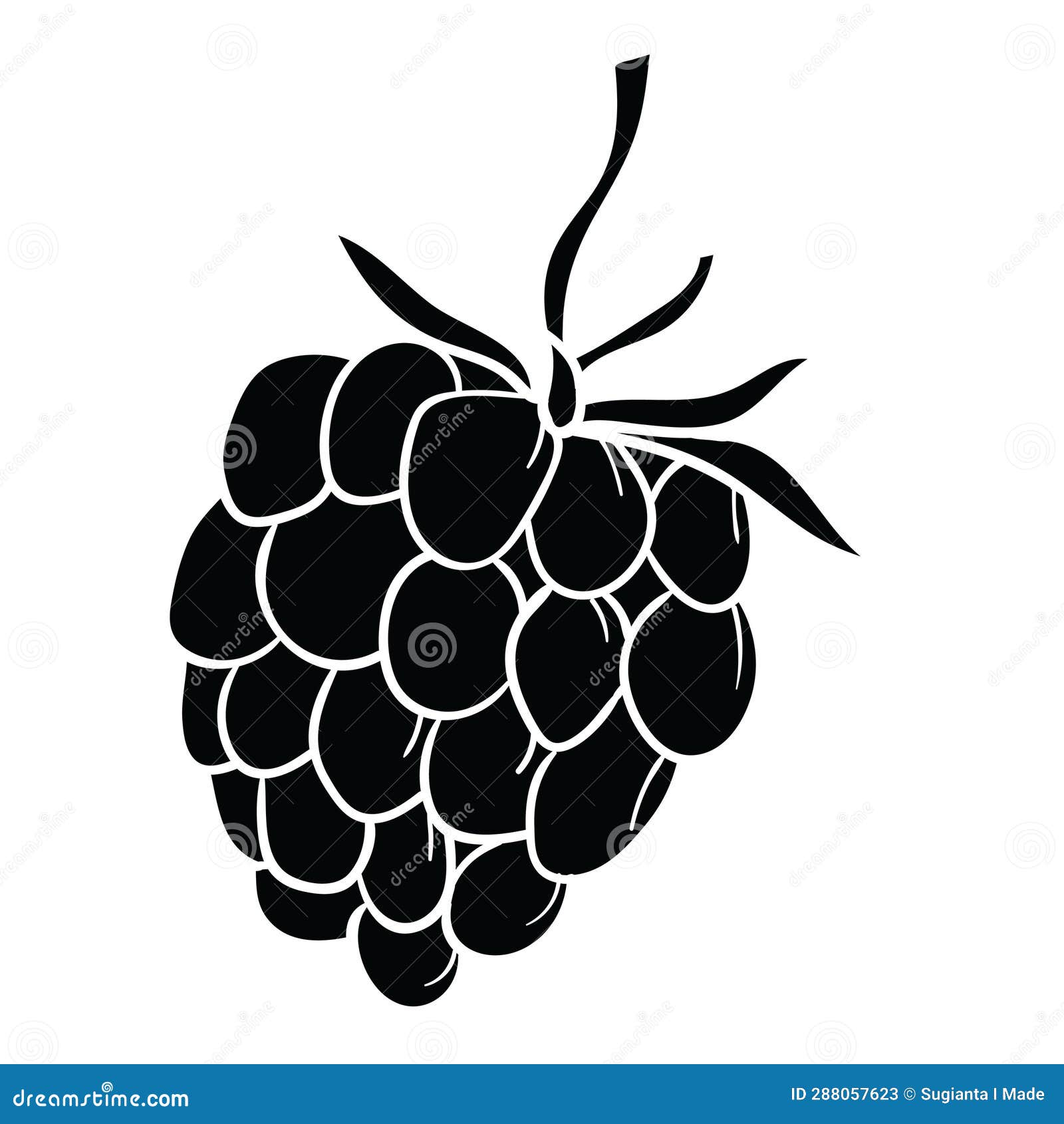 Hand drawing berry vector stock vector. Illustration of icon - 288057623