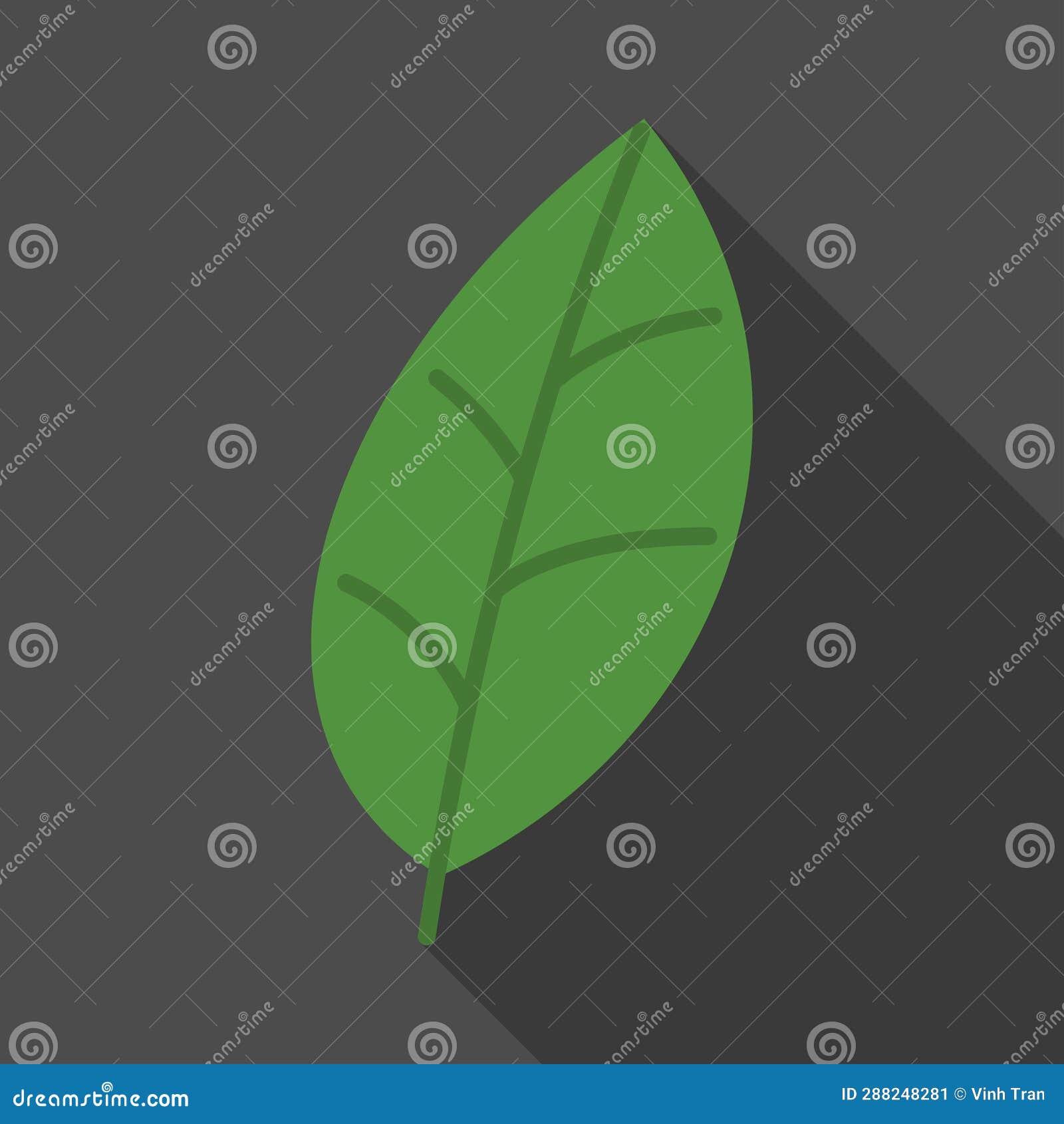 Chlorophyll. Plant Cells Under The Microscope Cartoon Vector ...