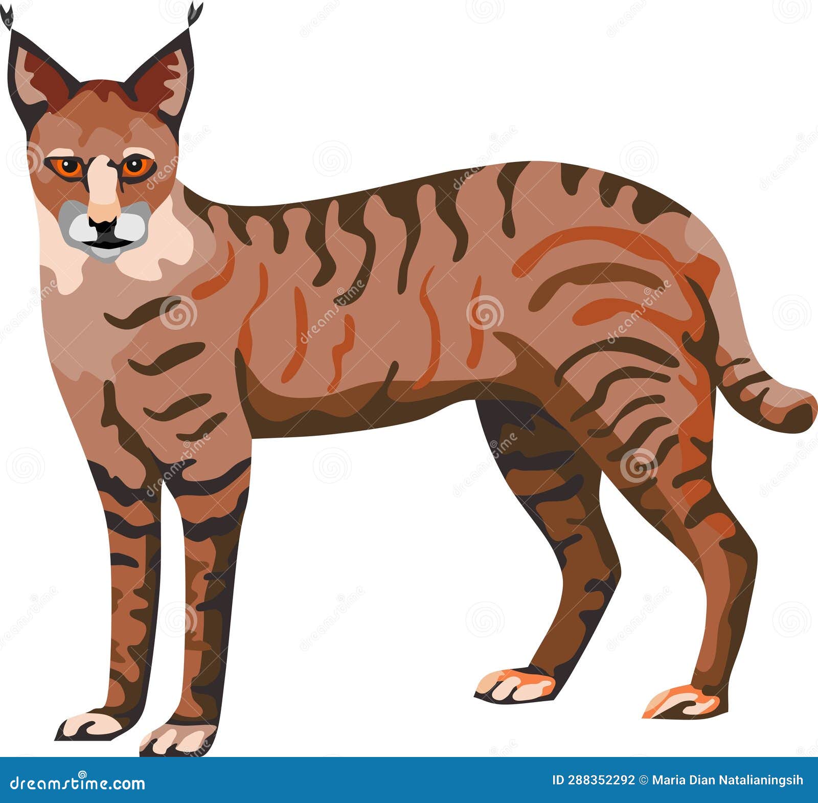 Brown Jungle Cat Wild Mammal Animal Vector Stock Vector - Illustration ...