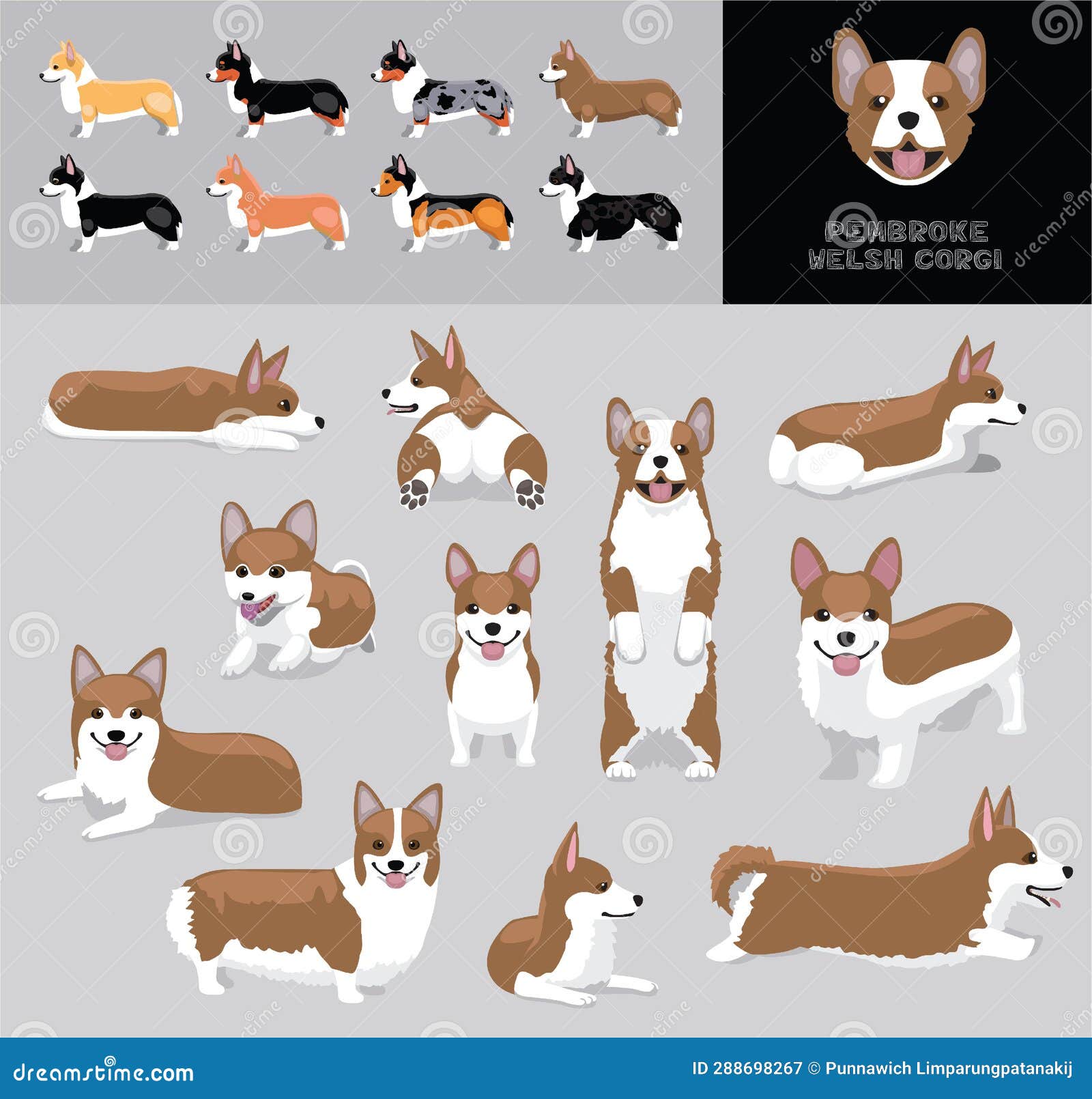 Dog Pembroke Welsh Corgi Brown Beige Coat Cartoon Vector Illustration ...