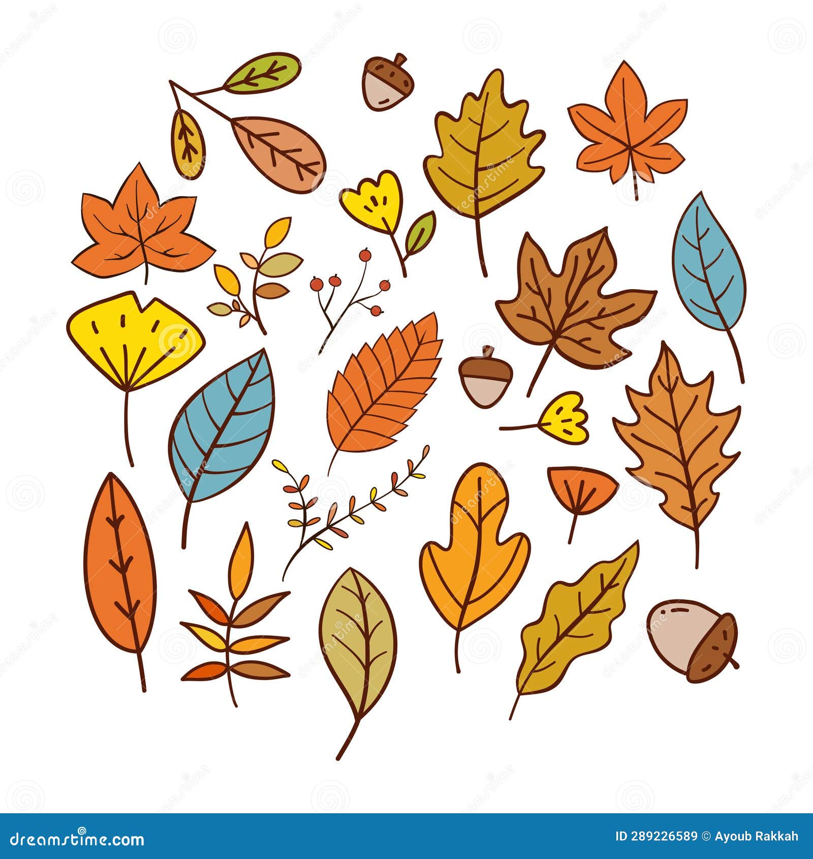 Hand Drawn Line Art Autumn Leaves Collection Stock Illustration ...
