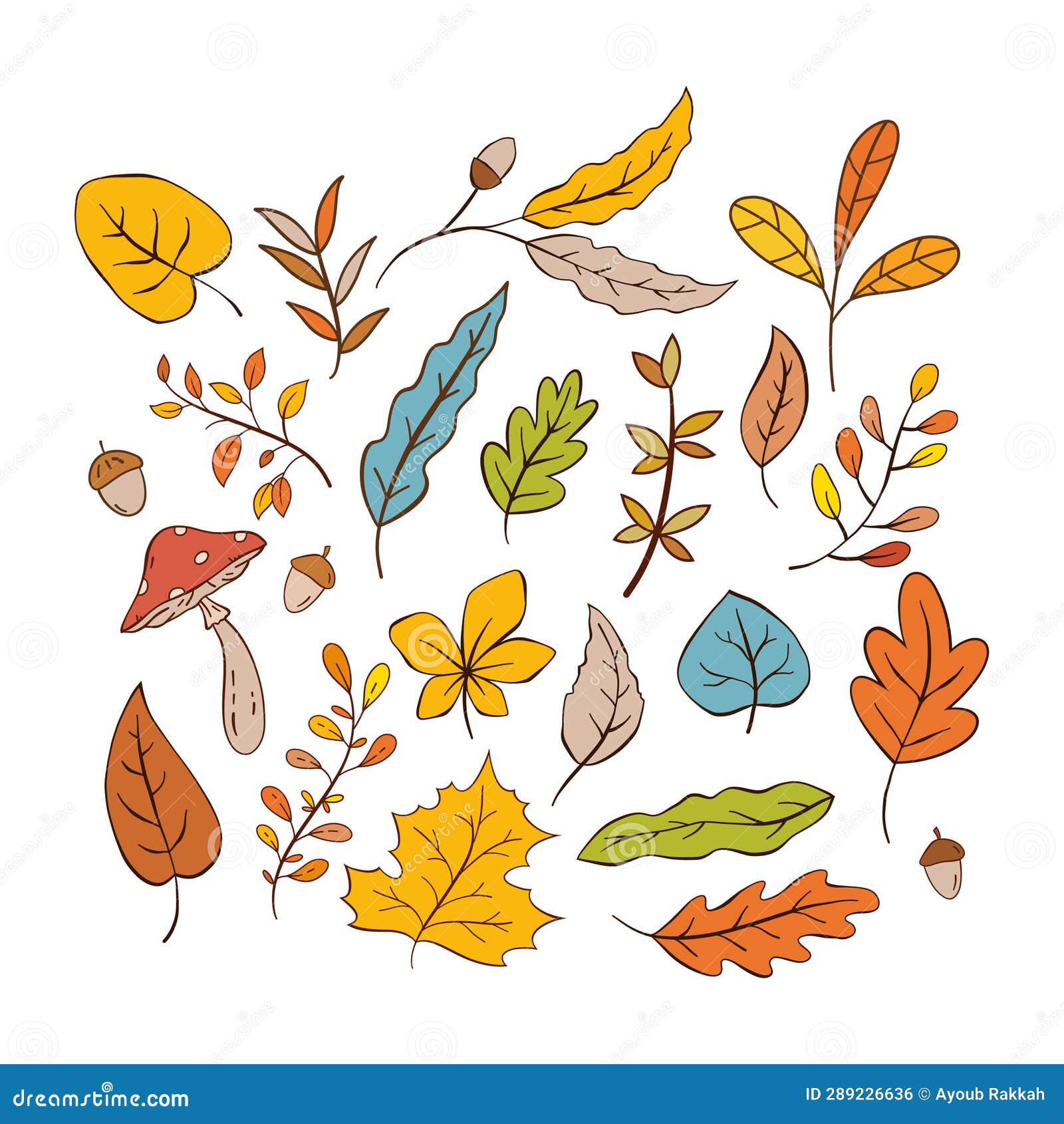 Hand Drawn Autumn Leaves Collection Stock Illustration - Illustration ...