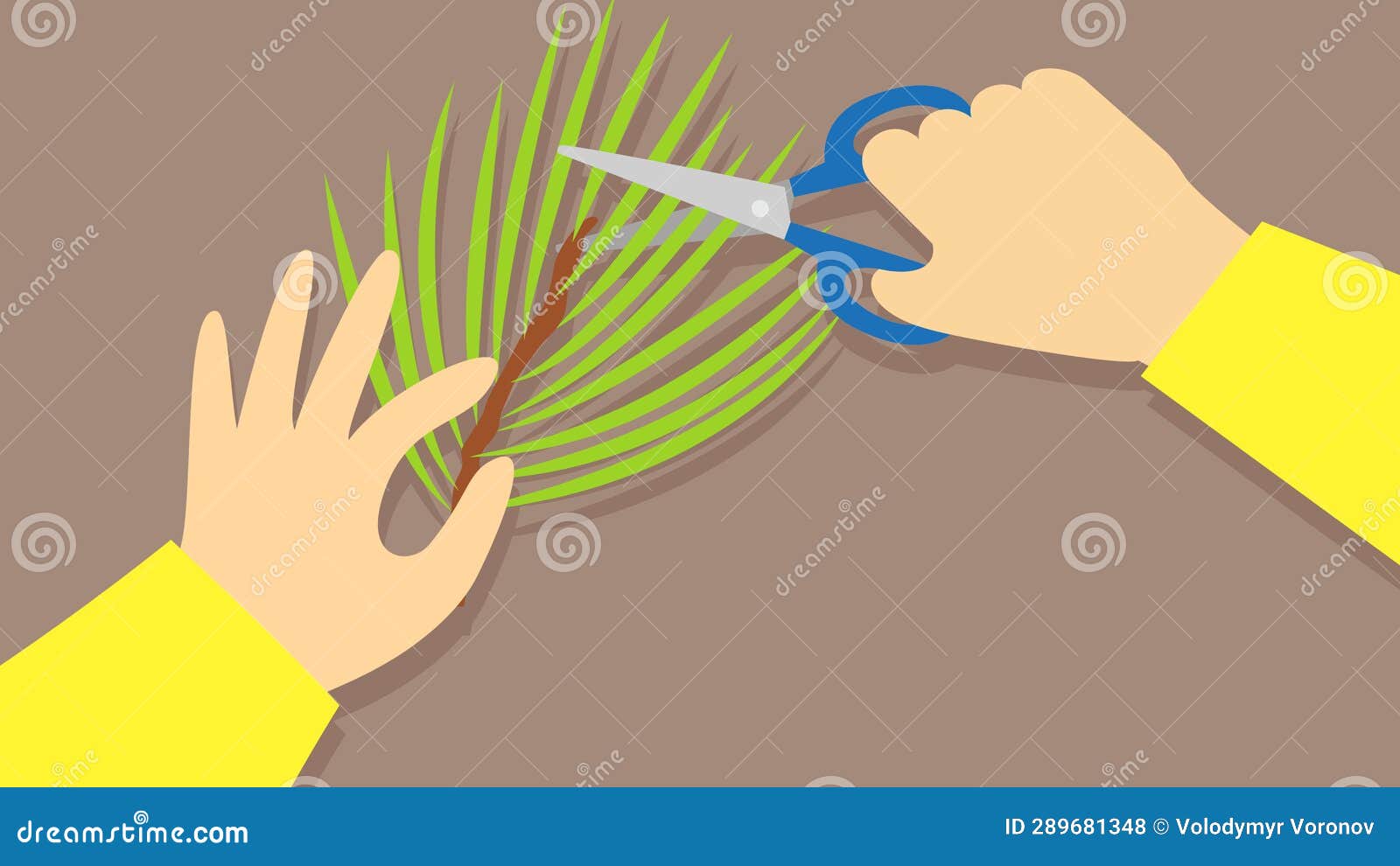 Cutting a Palm Leaf with Scissors. Vector Illustration Stock Vector ...
