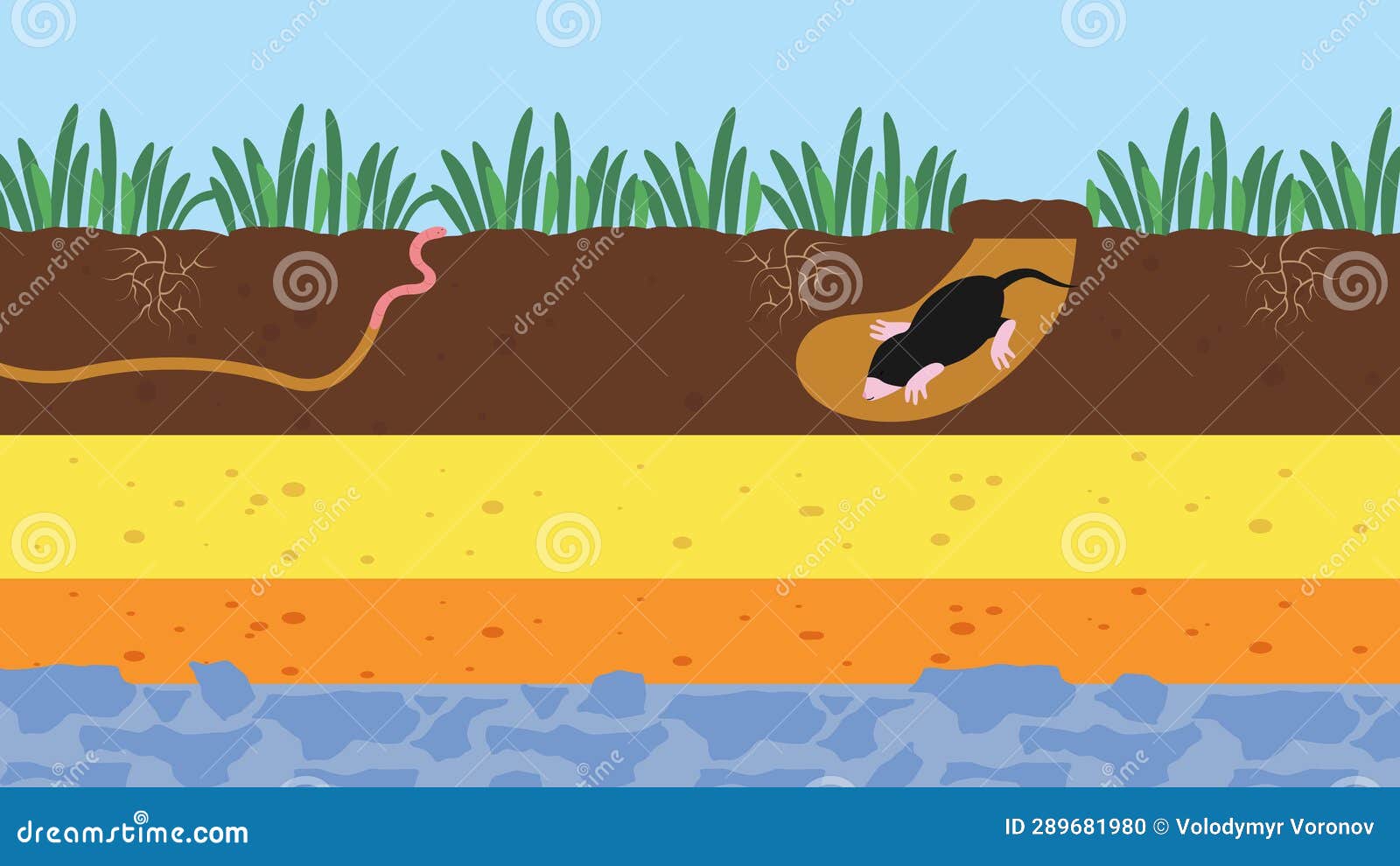 Mole Digging And Emerging From The Ground And Its Silhouette Vector ...