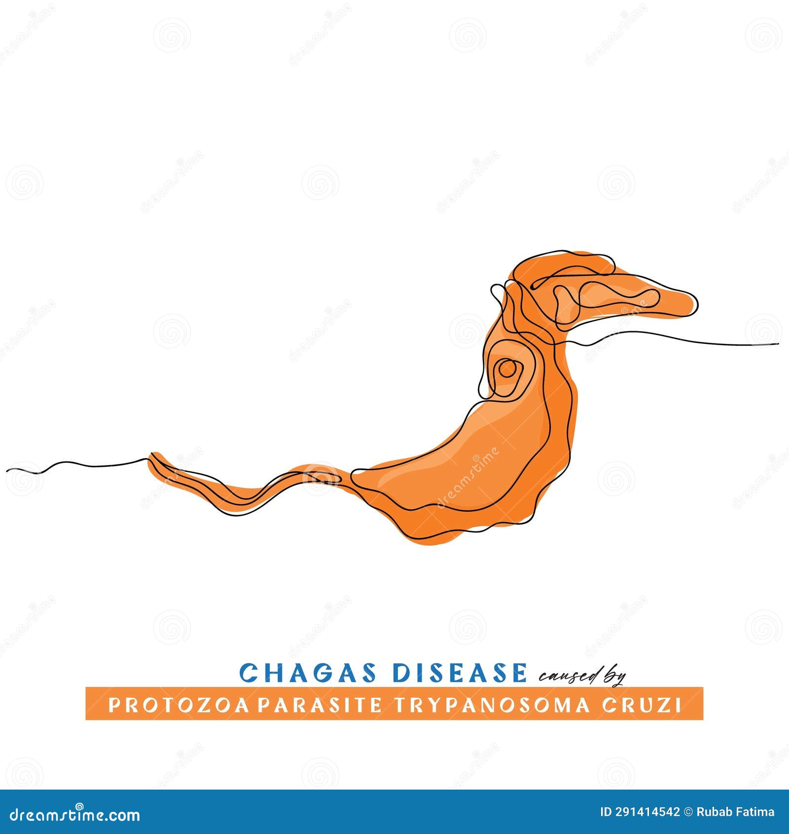 CHAGAS DISEASE stock vector. Illustration of insects - 291414542