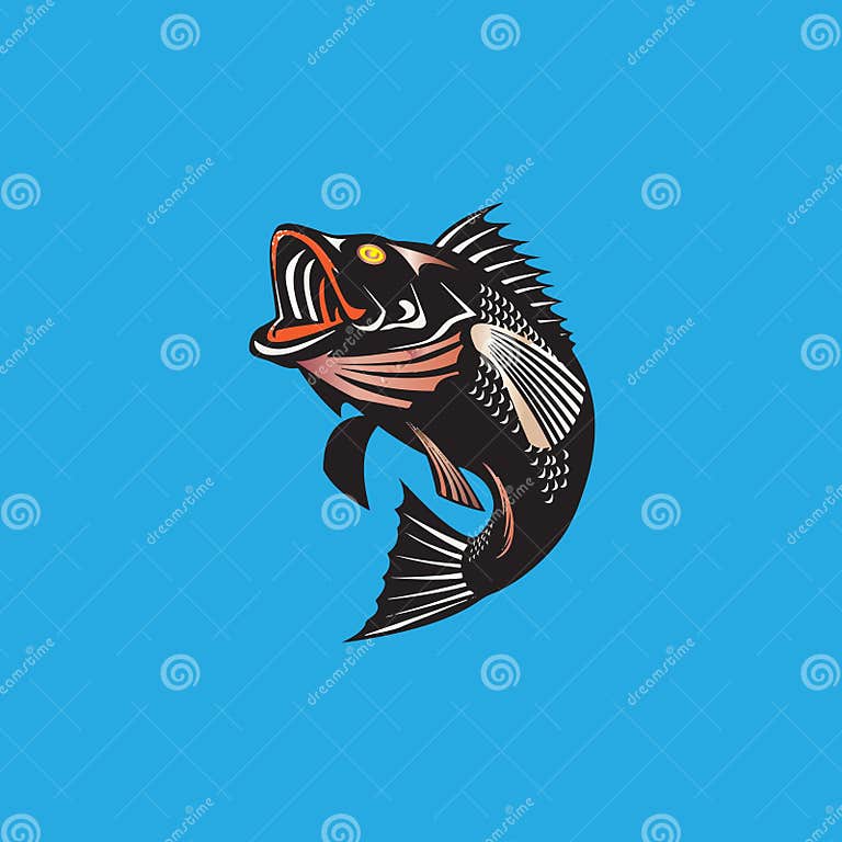 Grouper Fish Logo in Black and White and Orange Stock Vector ...