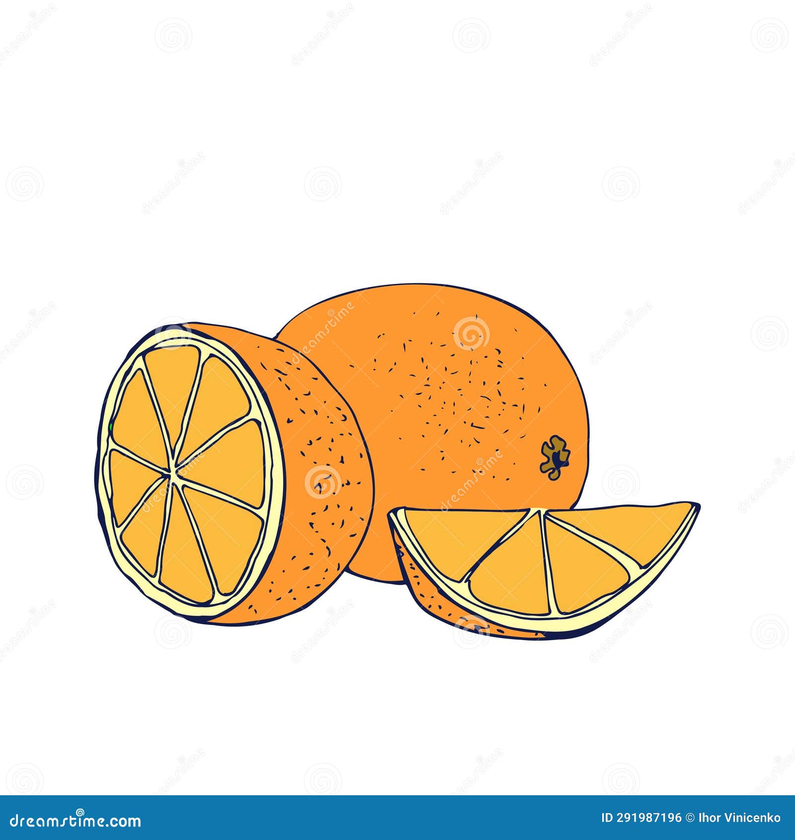 Orange drawing. Line art stock vector. Illustration of design - 291987196
