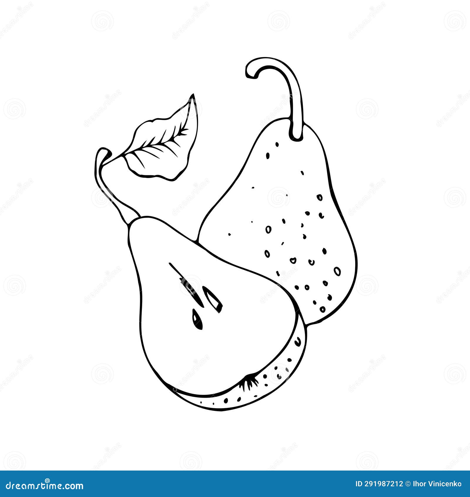 Drawing of a Pear. Line Art Stock Vector - Illustration of ingredient ...