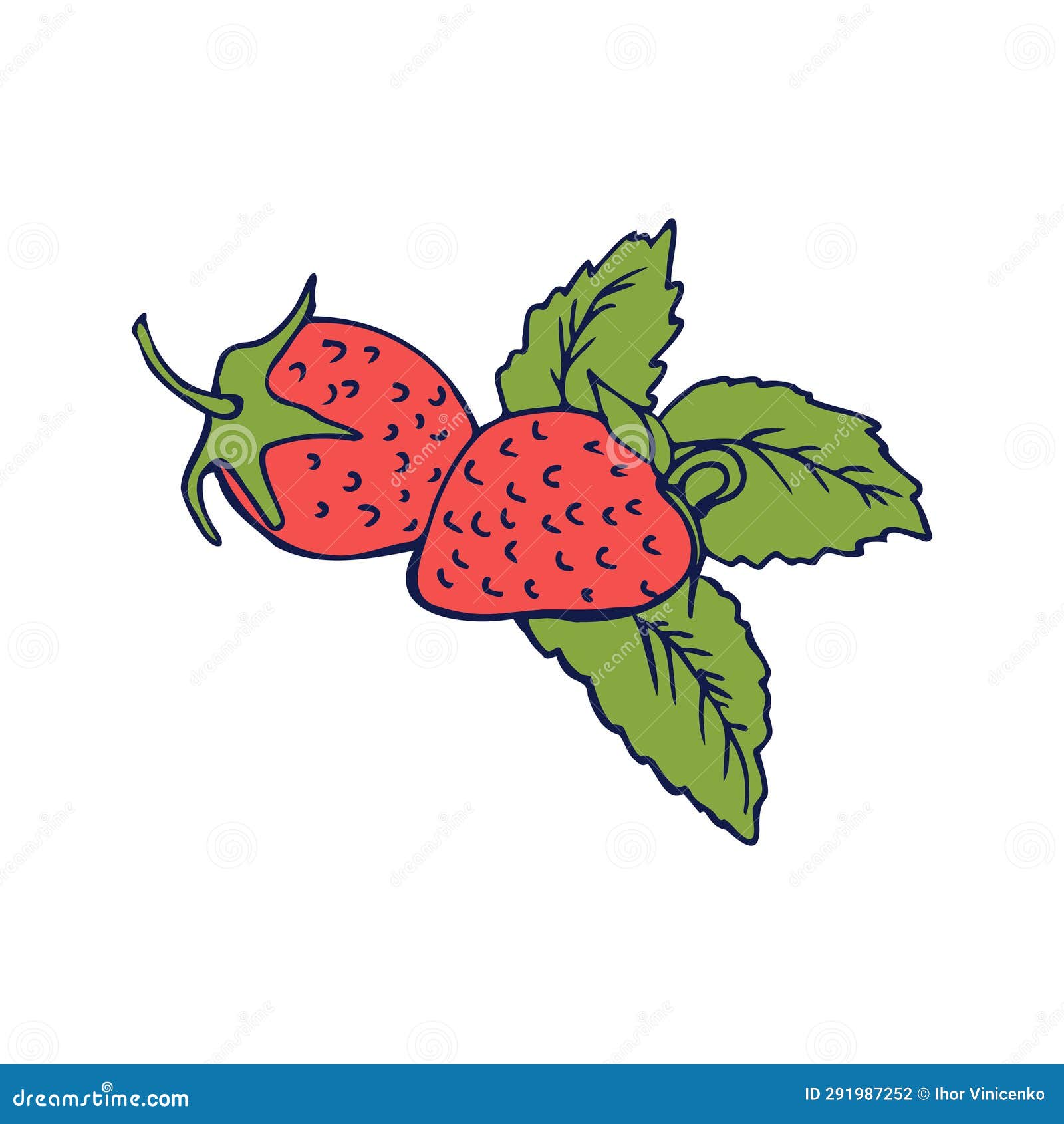Strawberry Drawing. Line Art Stock Vector - Illustration of healthy ...