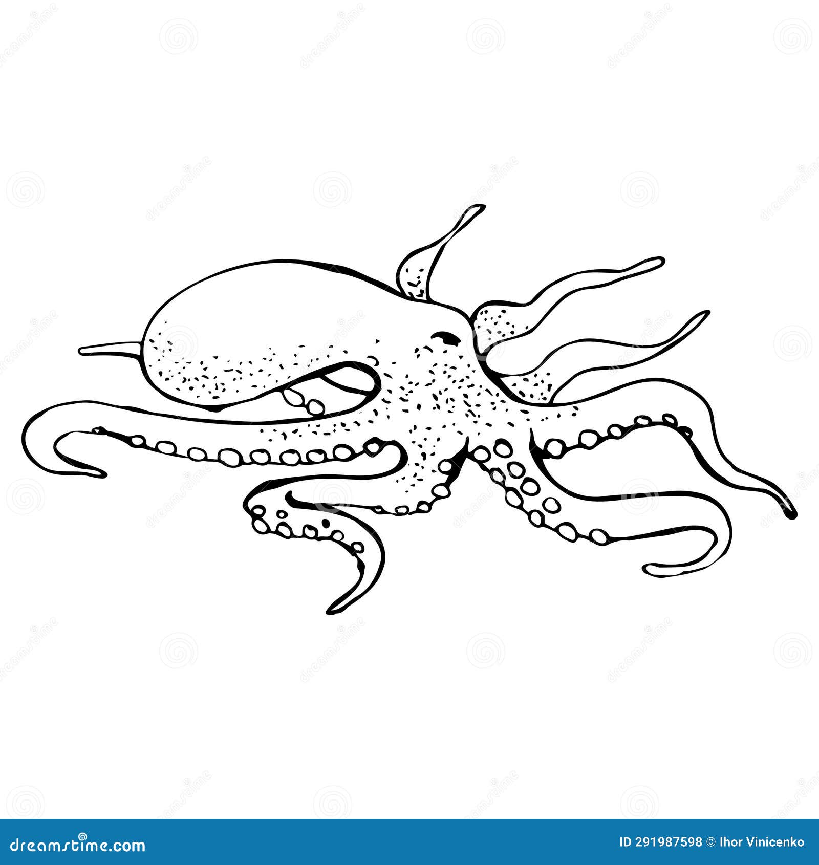 Big Octopus Drawing BlackBig Octopus Outline Blue Drawing On Black ...