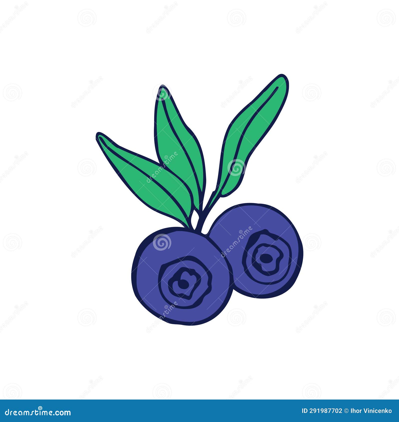 Blueberry Drawing. Line Art Stock Vector - Illustration of fruit ...