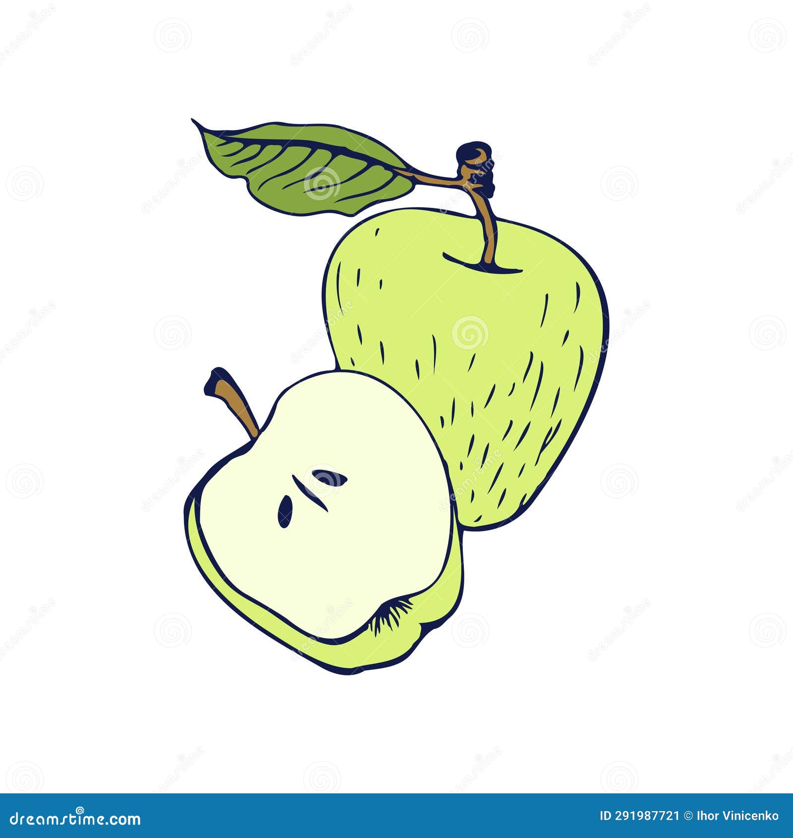 Drawing of a green apple. stock vector. Illustration of icon - 291987721