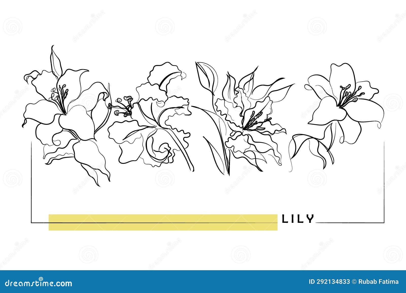 Lily flower line art stock illustration. Illustration of design - 292134833