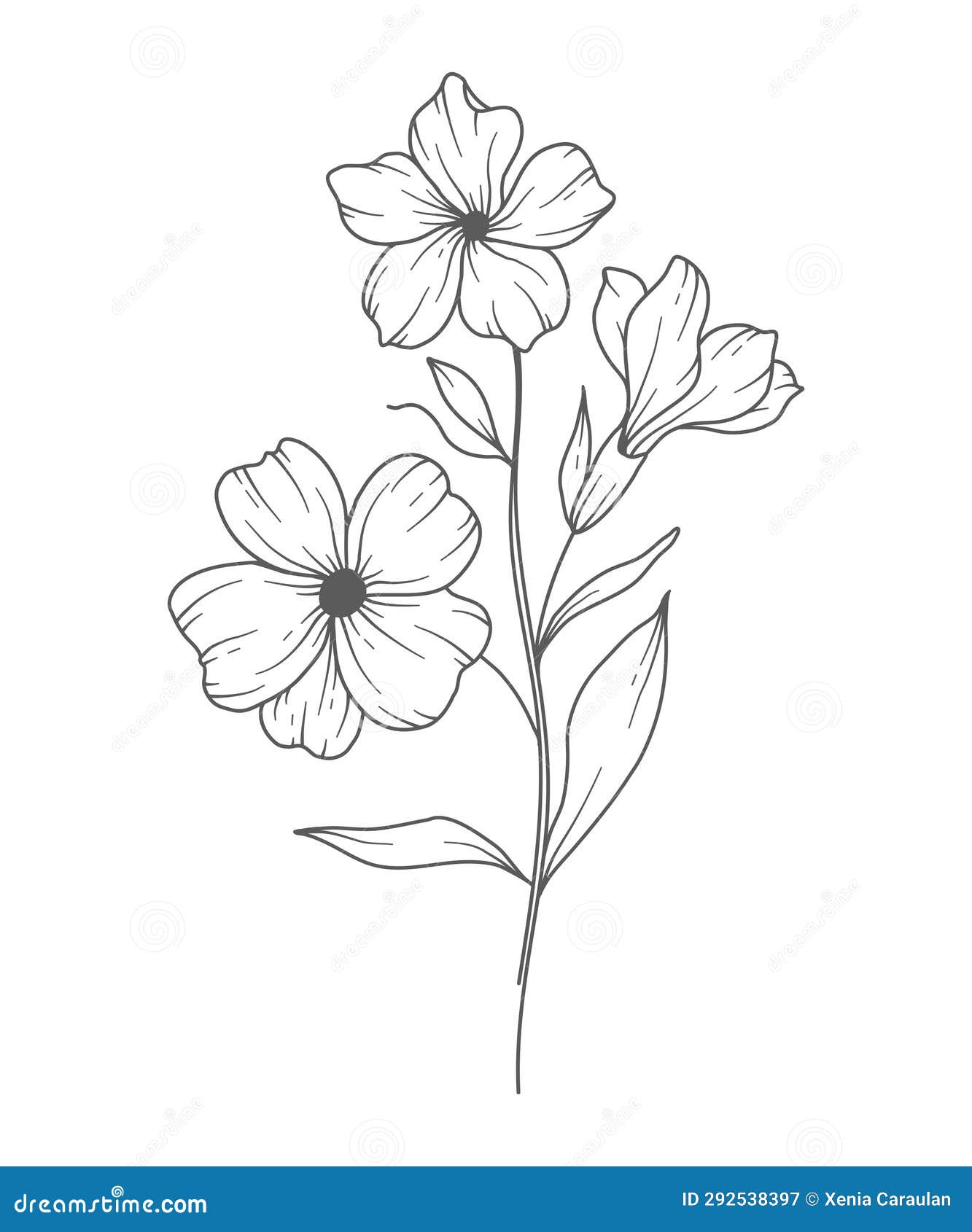 February Birth Flower, February Primrose Birth Flower, Primula Flower ... February Birth Flower, February Primrose Birth Flower, Primula Flower ...