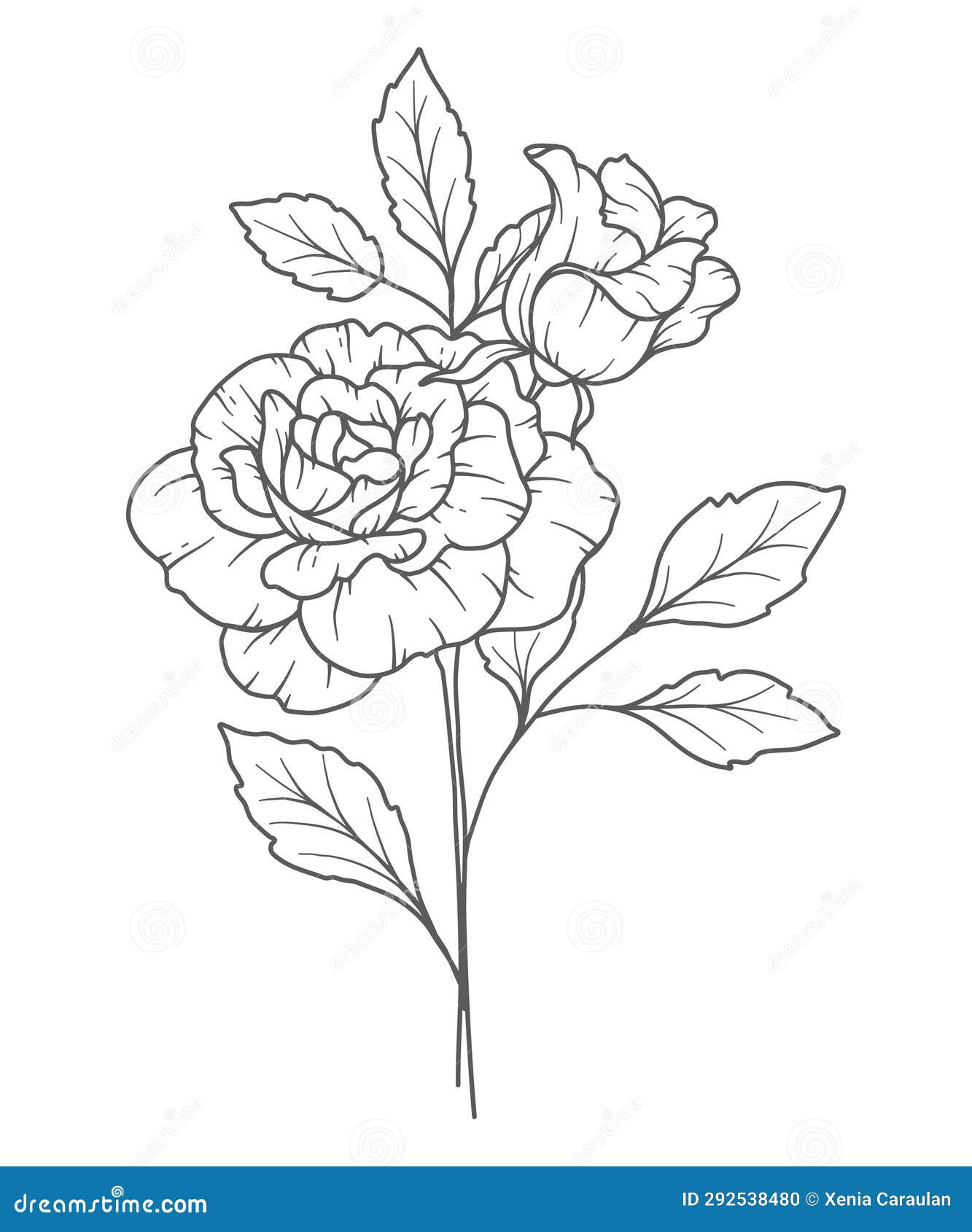 June Birth Flowers, Birth Month Flowers. Seamless Floral Pattern Of ...