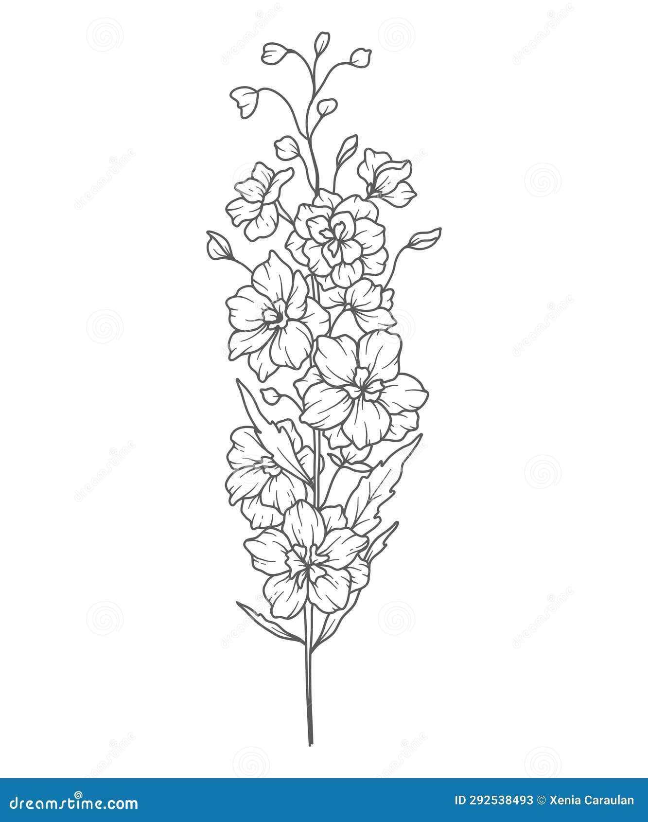 Larkspur Line Art. Delphinium Outline Illustration. July Birth Month ...