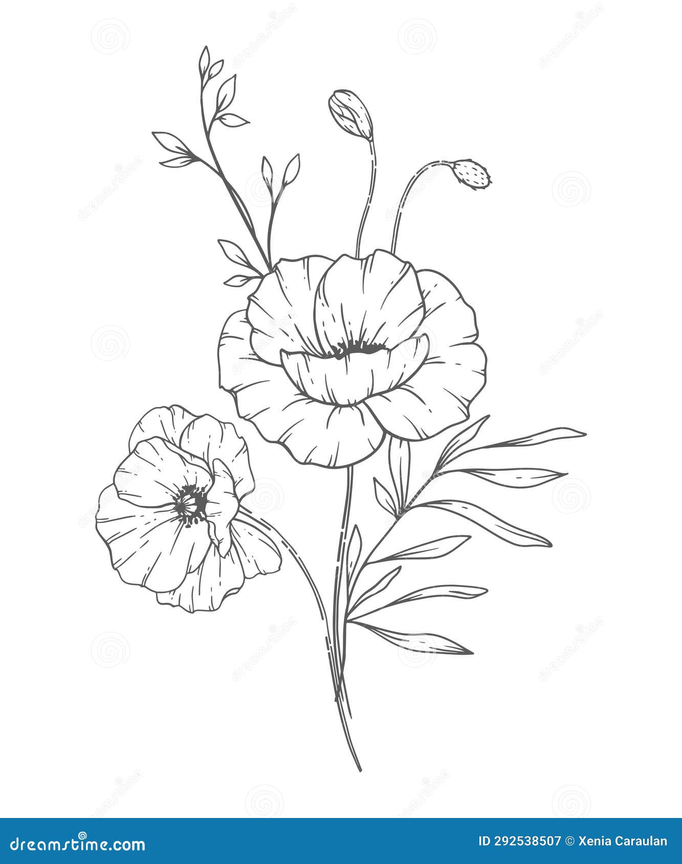 August Birth Flower, August Birth Flower Tattoo, August Birth Flower ...