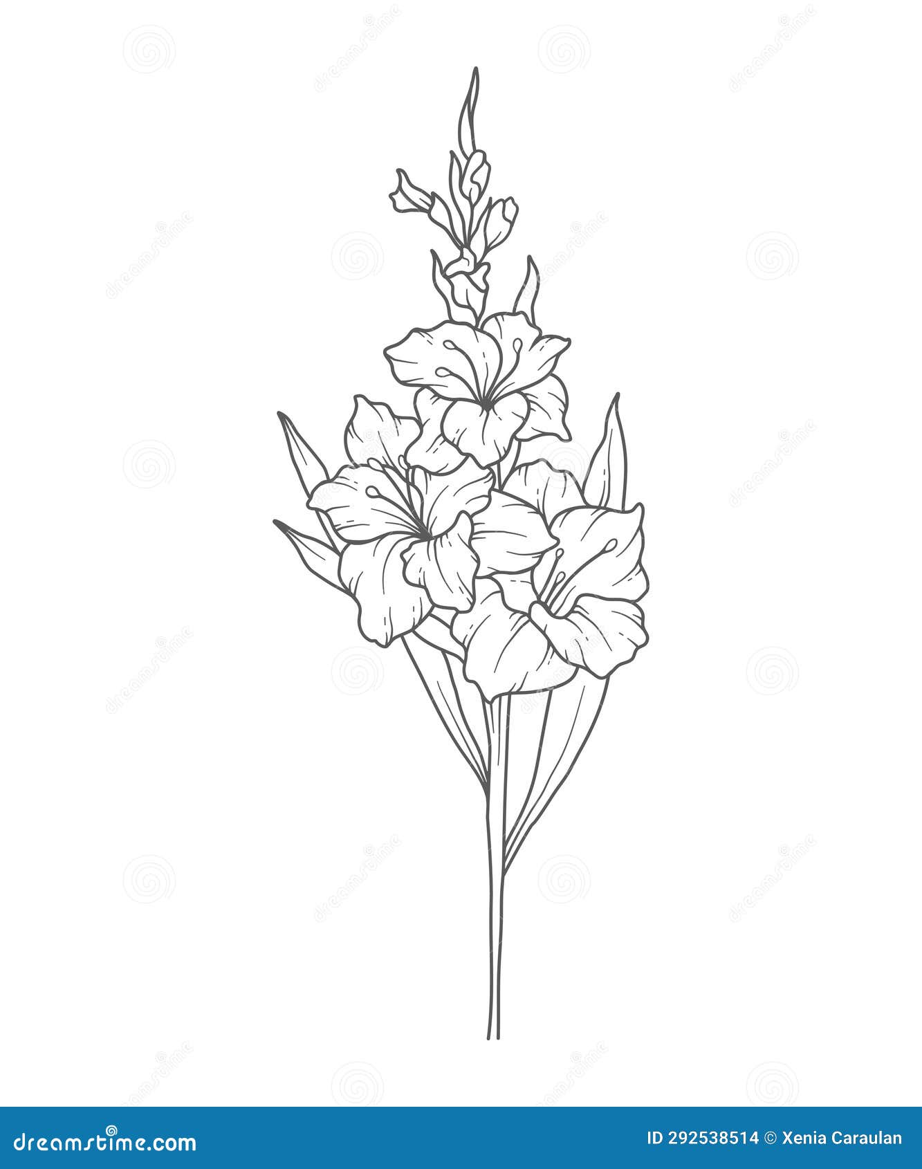 August Birth Flower, August Birth Flower Tattoo, August Birth Flower ...