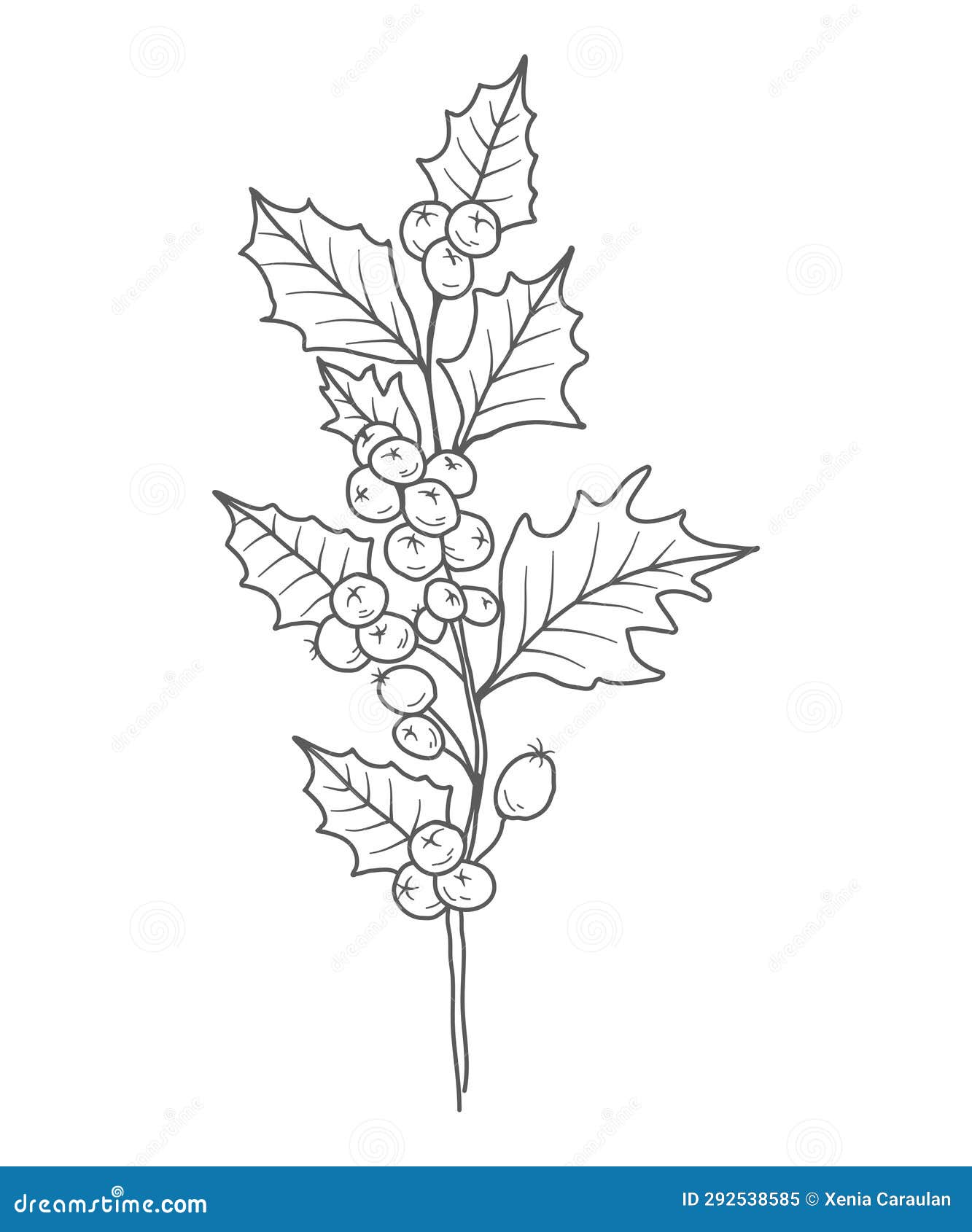 December Birth Flowers, Birth Month Flowers. Seamless Floral Pattern Of ...