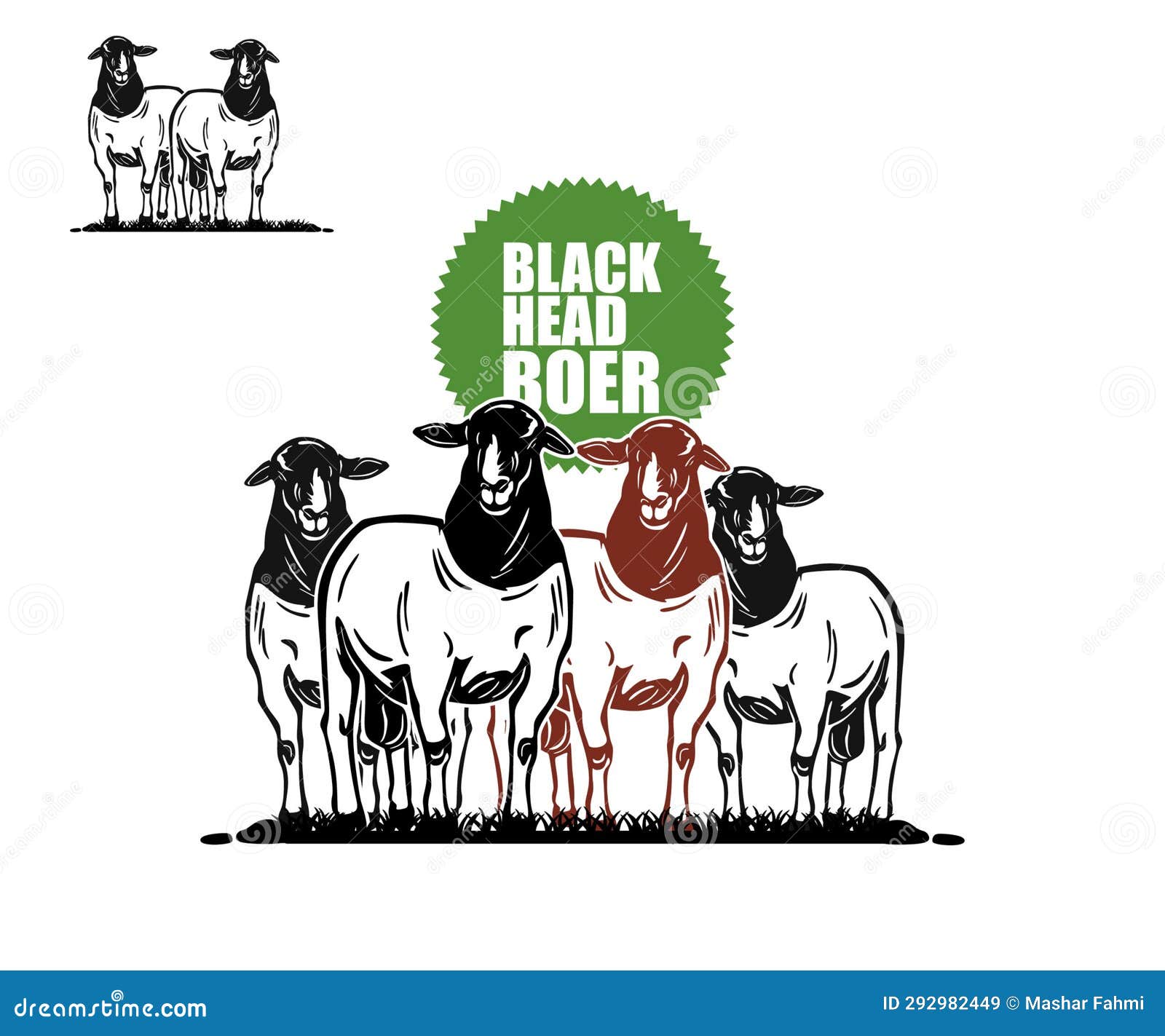 BLACK HEAD BOER, BEST BREEDING RAM MEAT MAKER Stock Vector ...