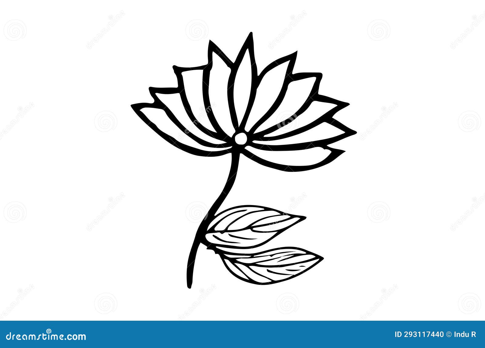 Hand Drawn Lotus Flower with Leaves Line Art Isolated on White ...