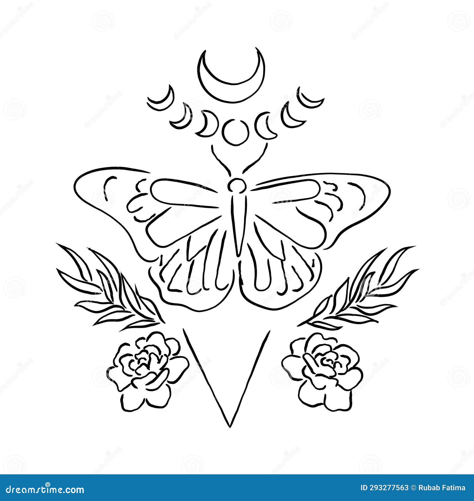 Vector Of Moth And Moon Phases. Royalty-Free Stock Photography ...
