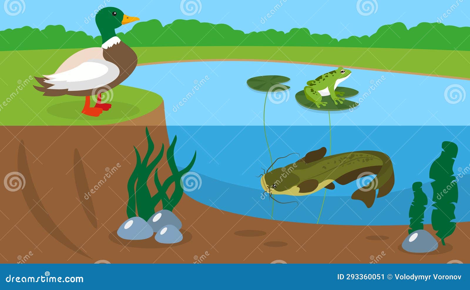 A Lake with a Frog, a Duck and a Catfish. Stock Vector - Illustration ...