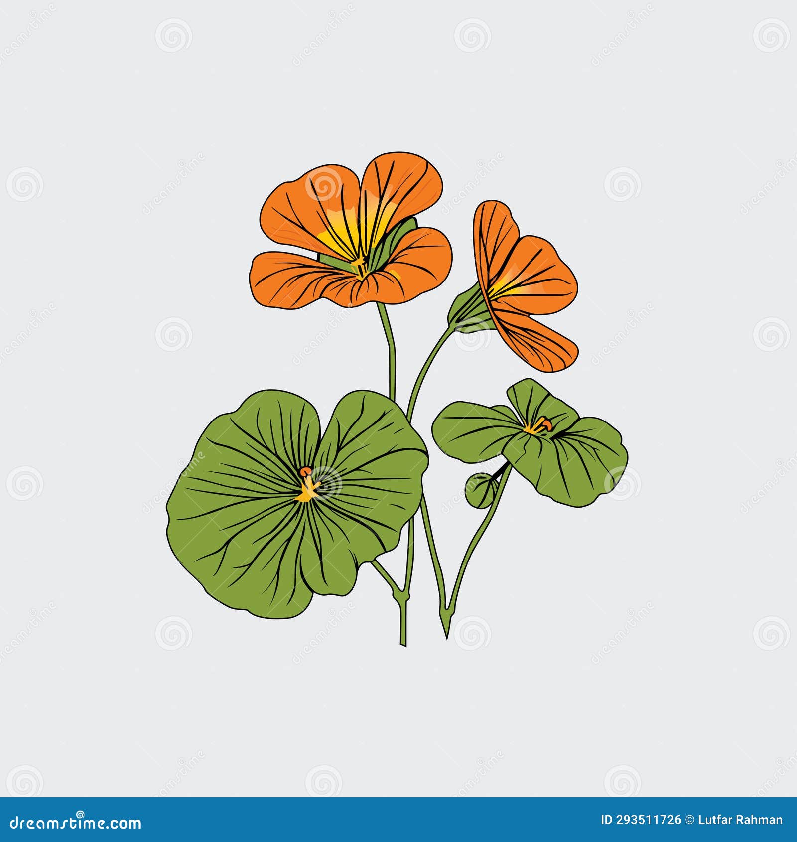 Lovely Bunch Floral Set Free Vector Image Stock Vector - Illustration ...