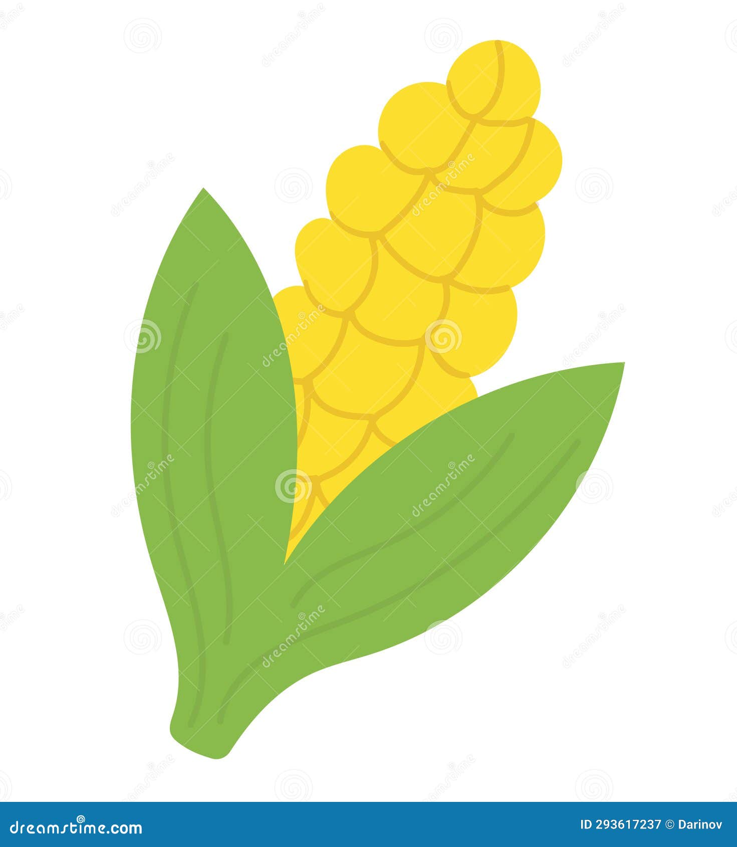 Corn on the Cob. Maize Icon Flat Illustration. Harvest Vector Symbol ...