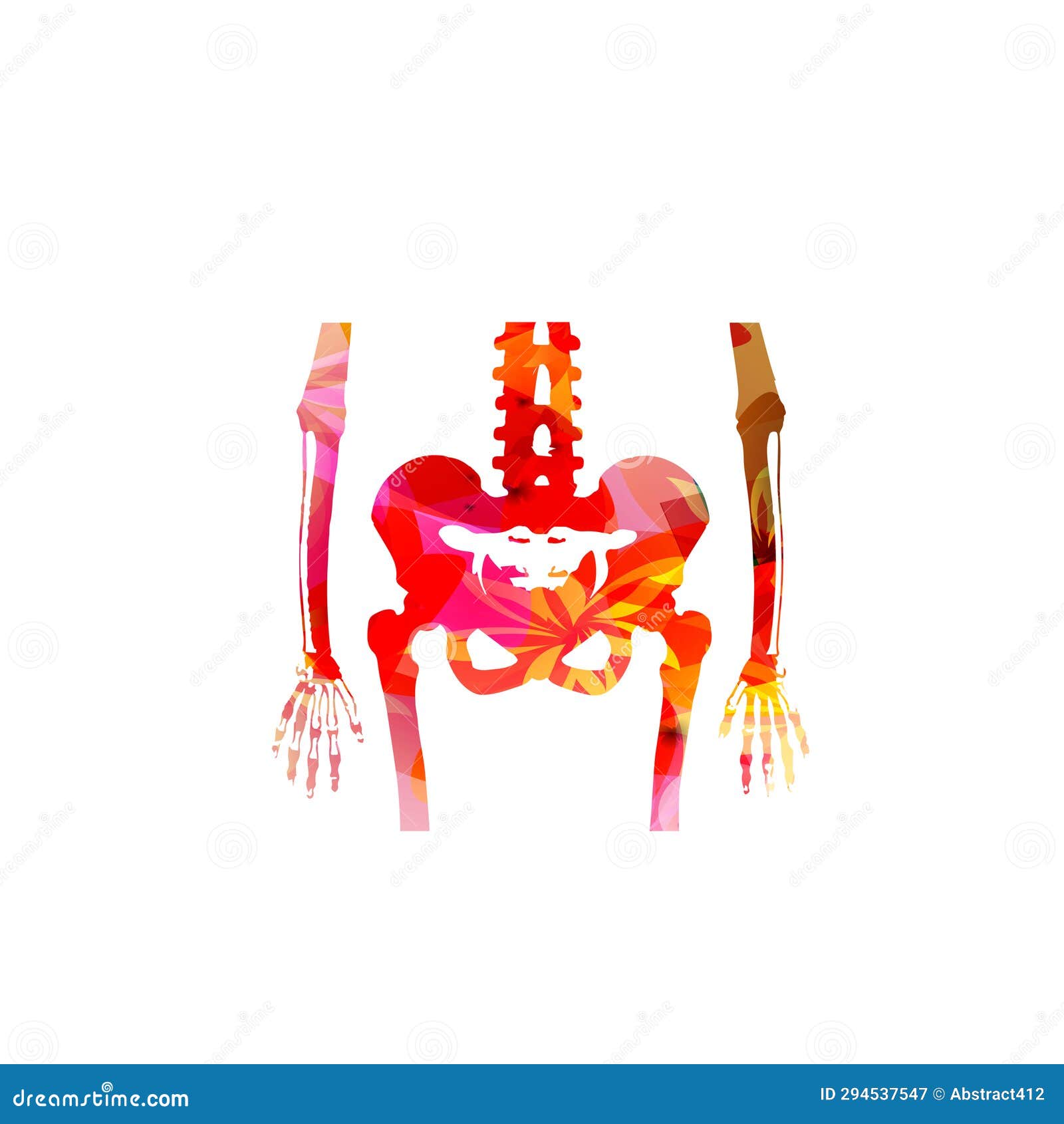 Anatomical Human Pelvis Poster. Healthcare, Medical Checkup and ...