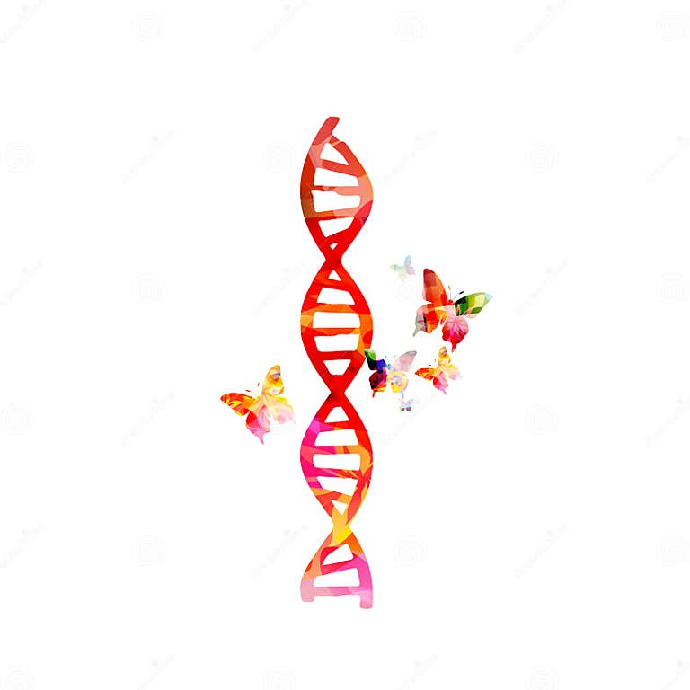 Human DNA Double Helix - Vector Illustration Stock Illustration ...