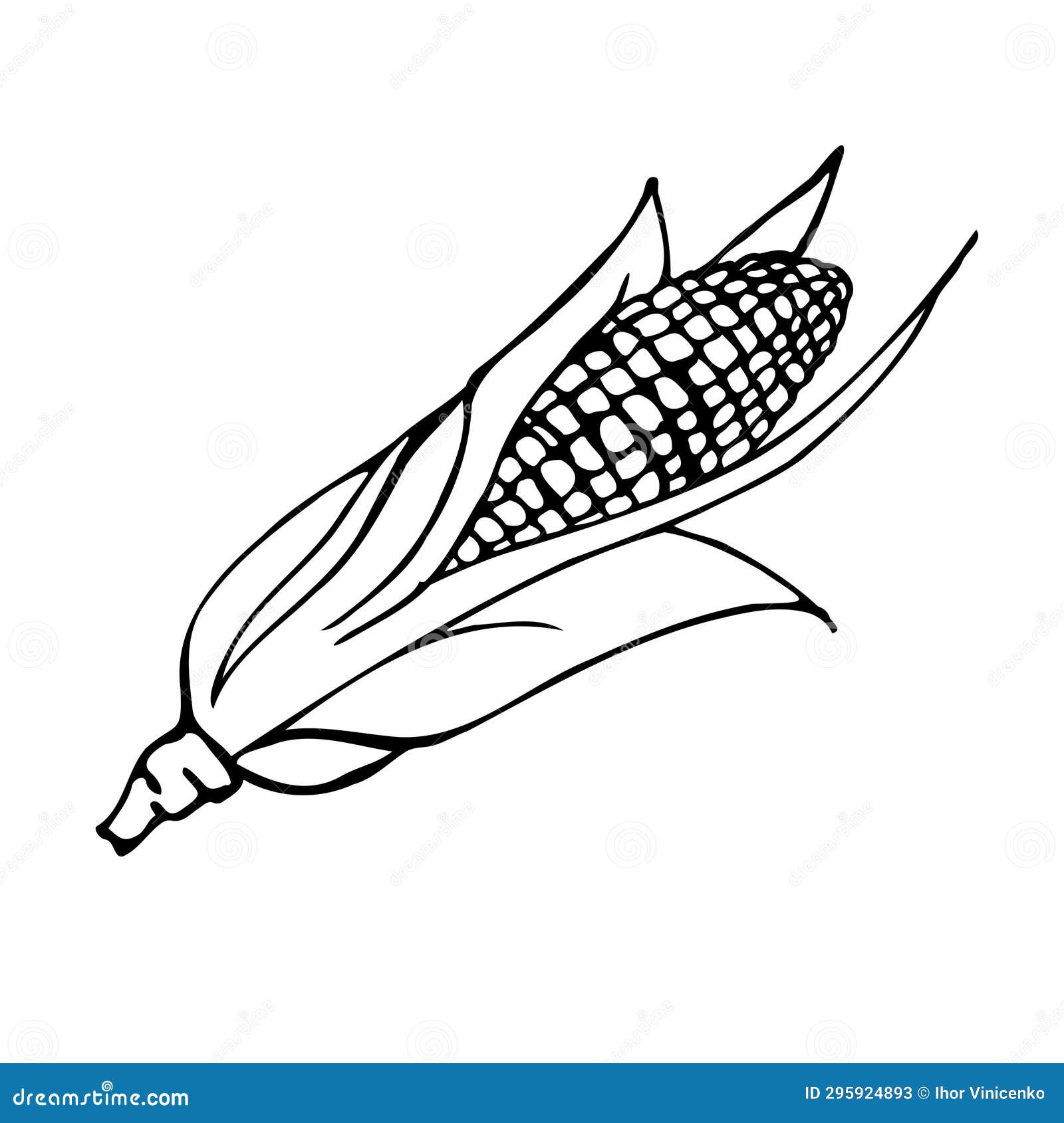 Corn Cob Silhouette. Black Line Drawing Stock Vector - Illustration of ...