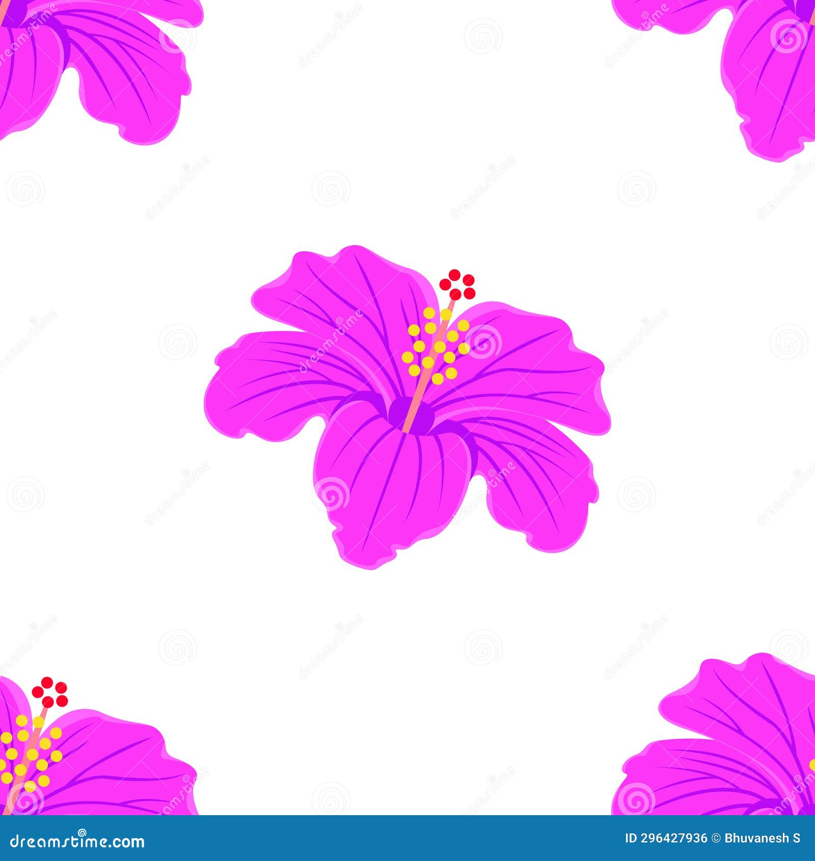Pink Hibiscus Flower with Petals Isolated on White Background is in ...