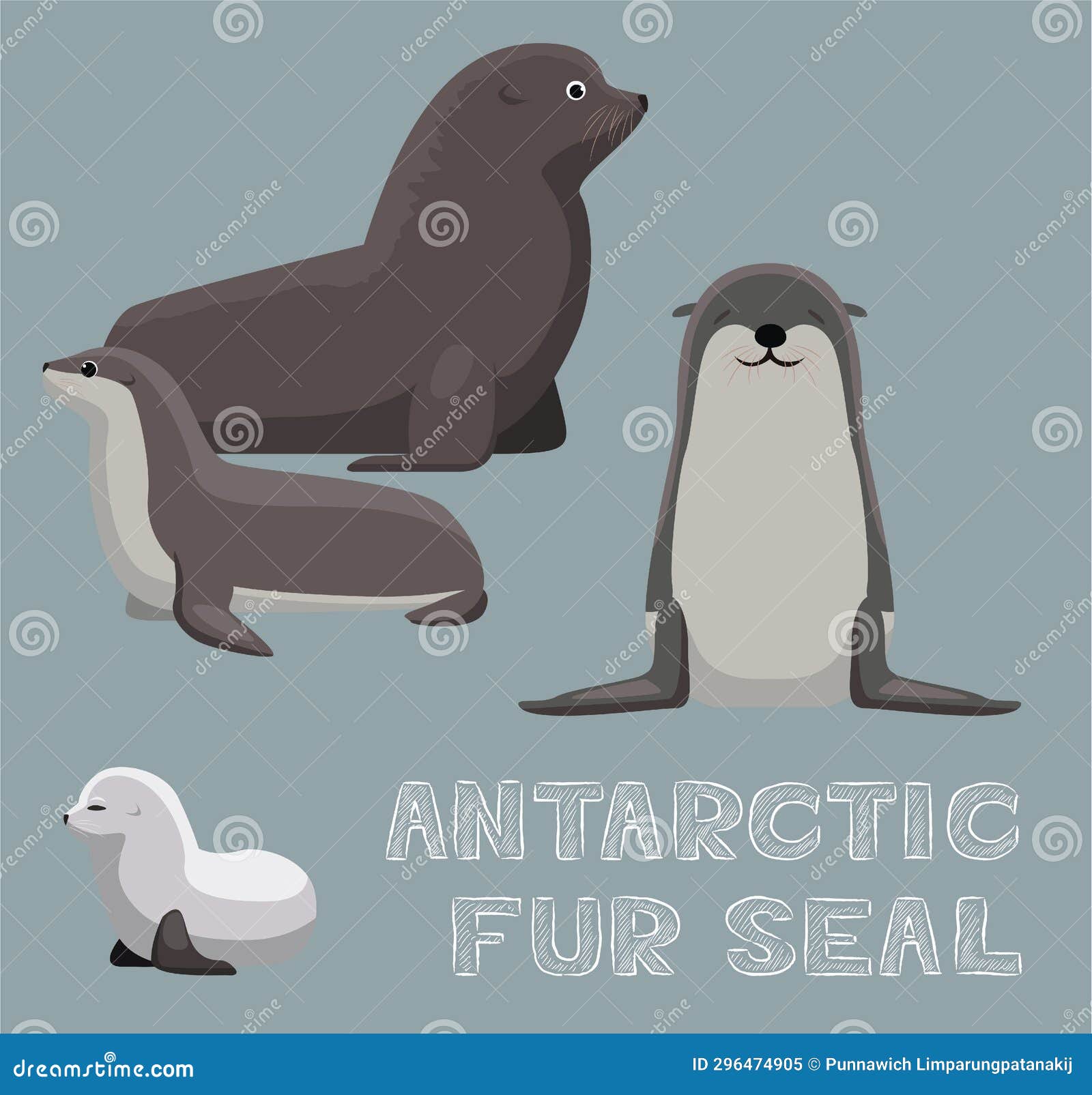 Antarctic Fur Seal Cartoon Vector Illustration Stock Vector ...