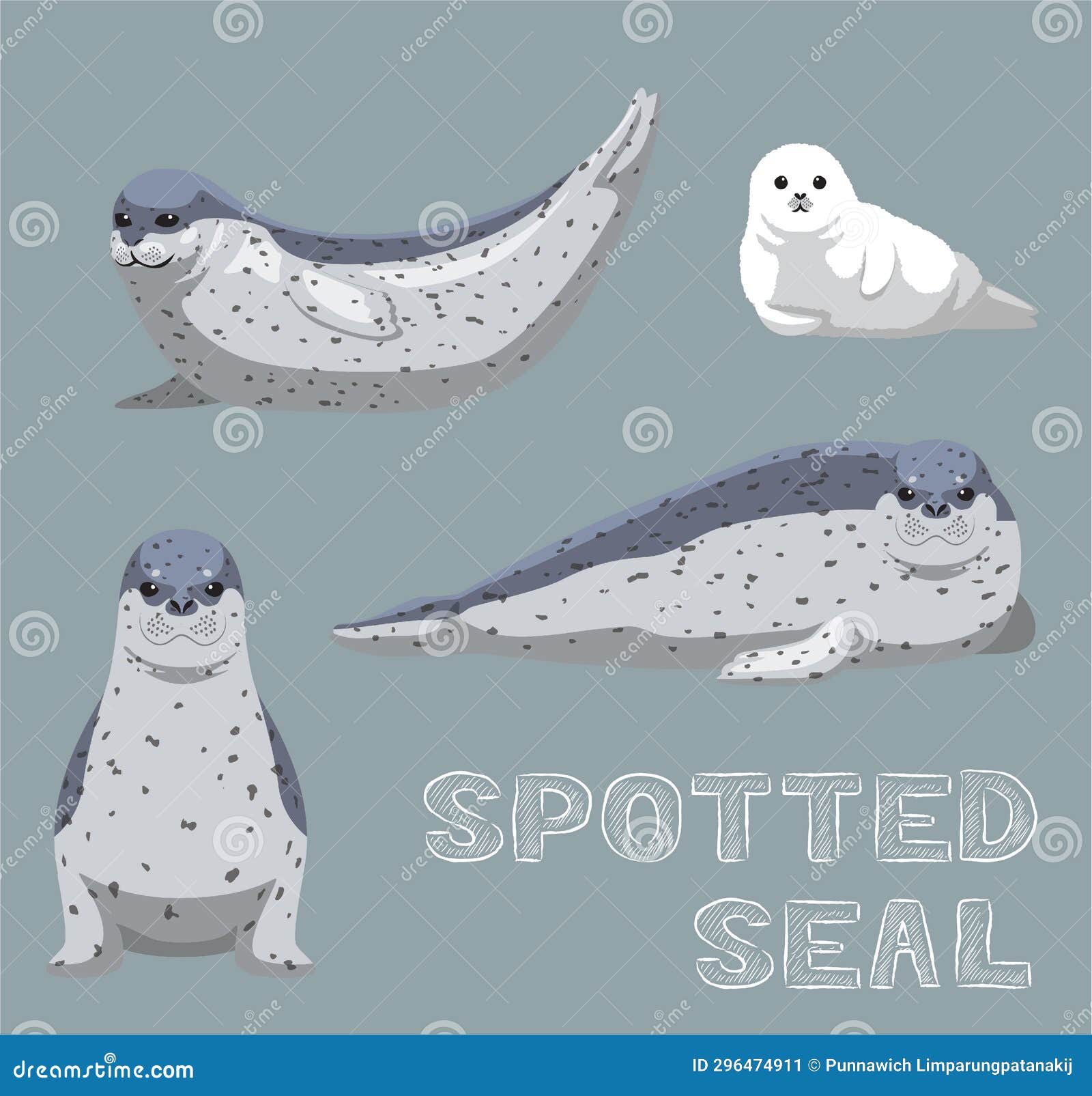 Spotted Seal Cartoon Vector Illustration Stock Vector - Illustration of ...